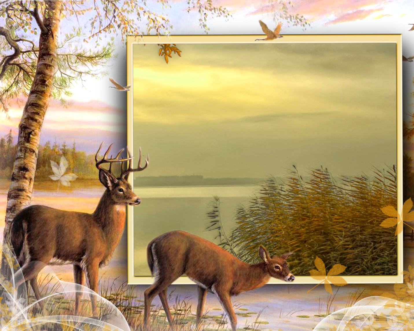 Emily50's Nature - Nature Memorial ...