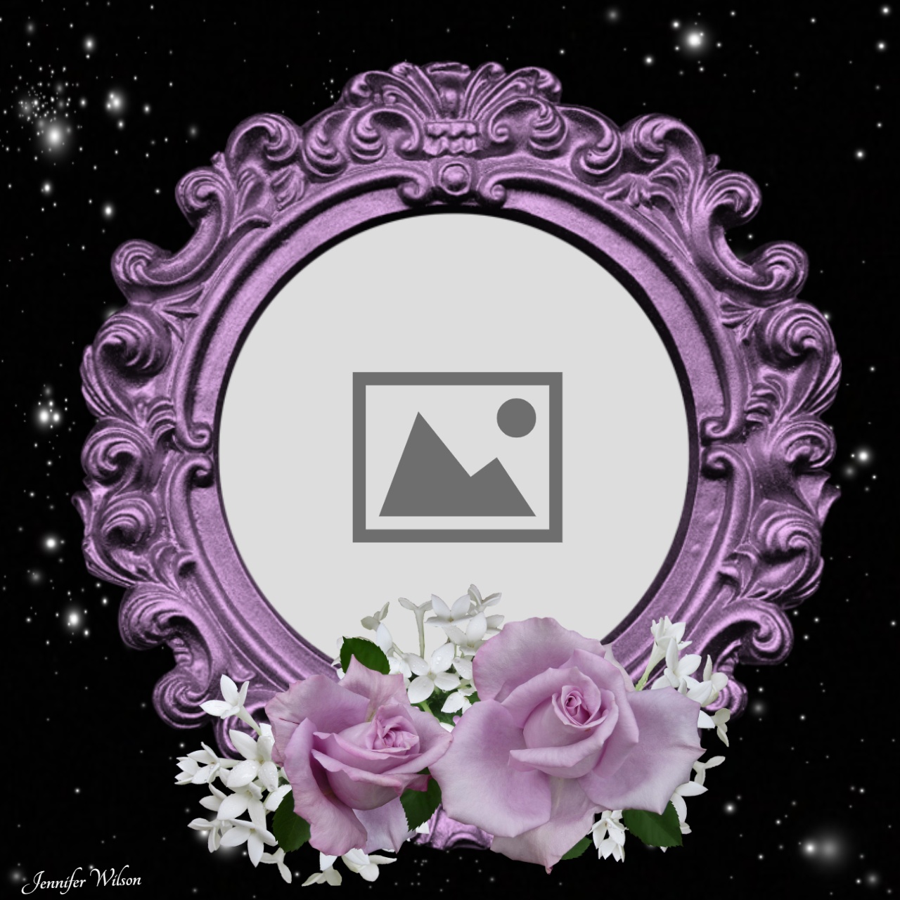 Jennifer Wilson's Roses - roses white Roses - Purple Roses - Purple Roses