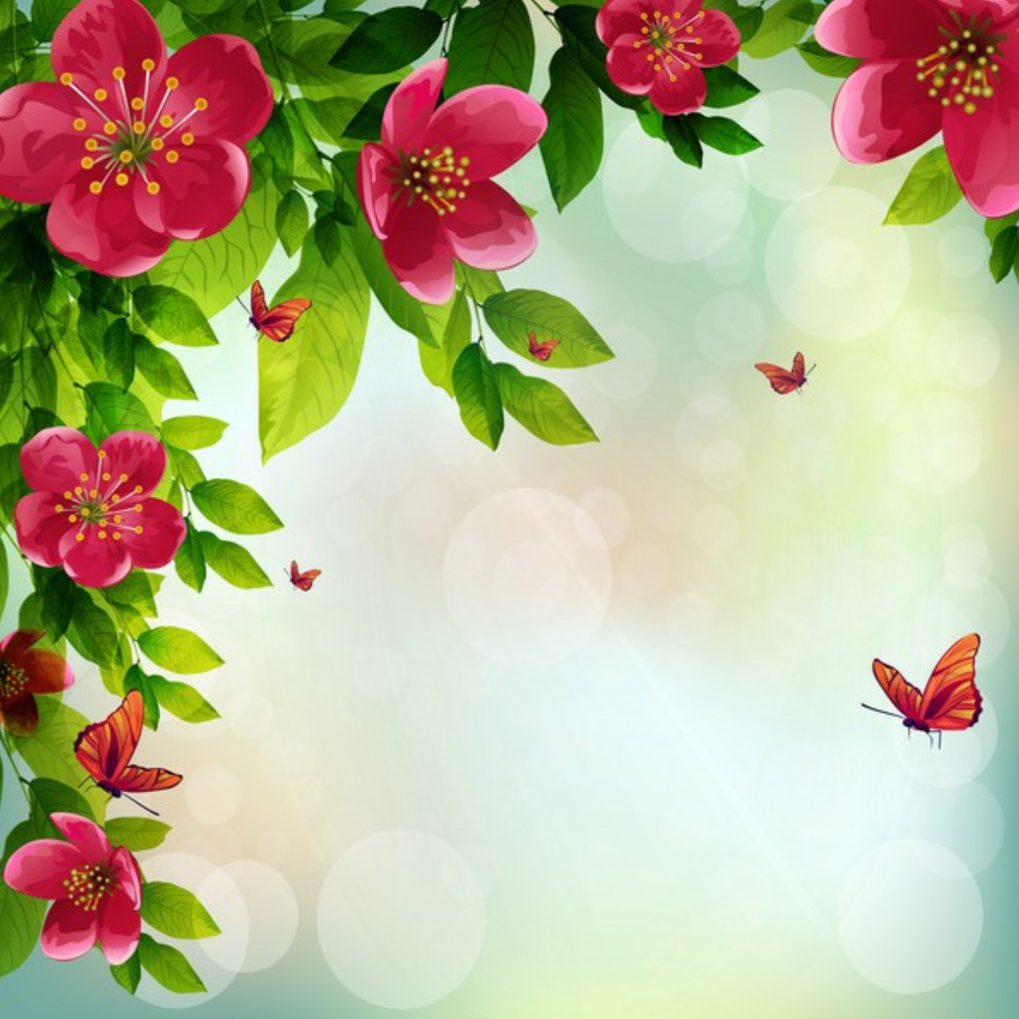 lissy's GoodMorning 🌞 GoodNight - Pictures - lissy - lissy-spring ...