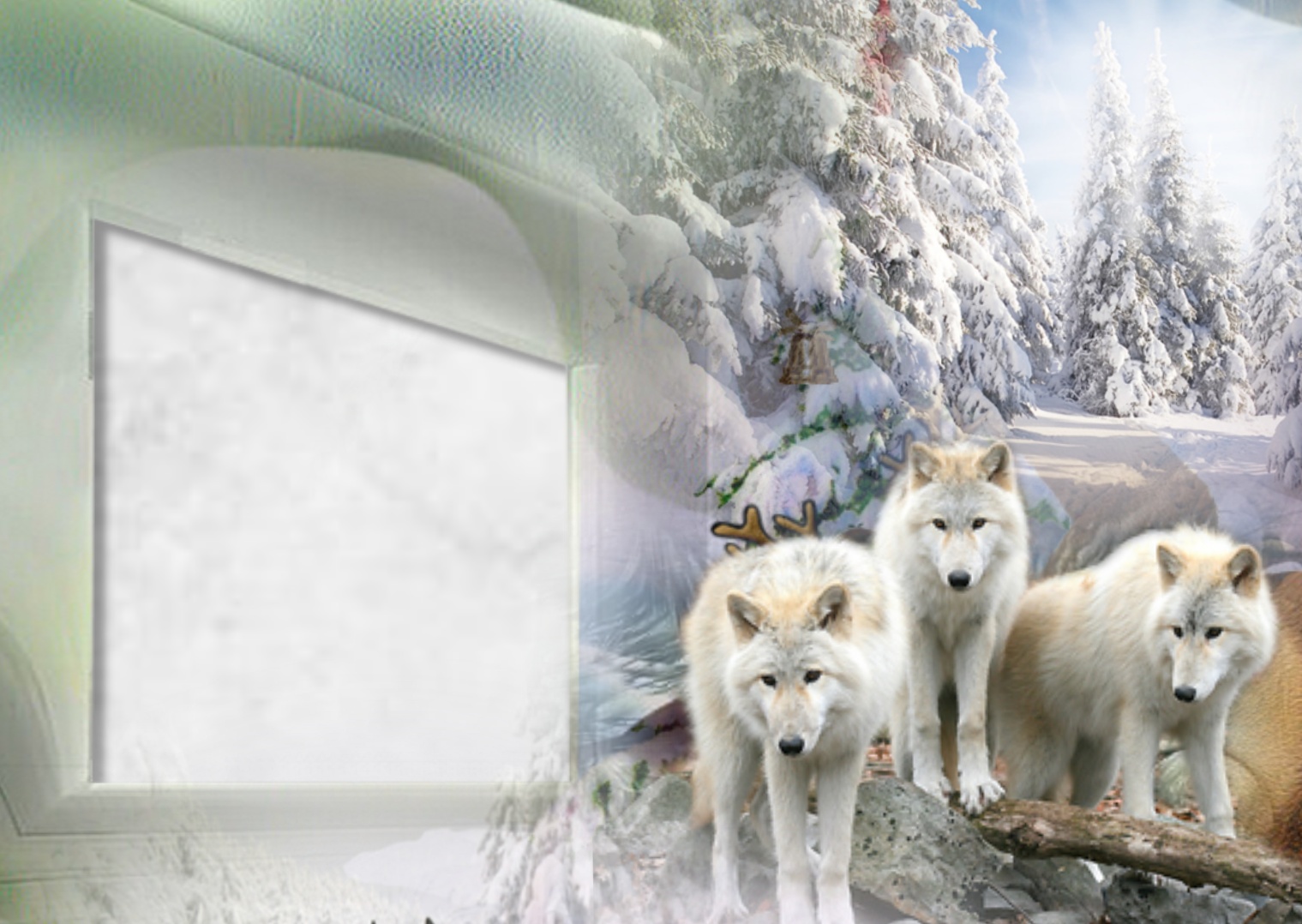 Emily50's Winter Frames - Winter Wildlife Emly50 - Winter Wildlife ...