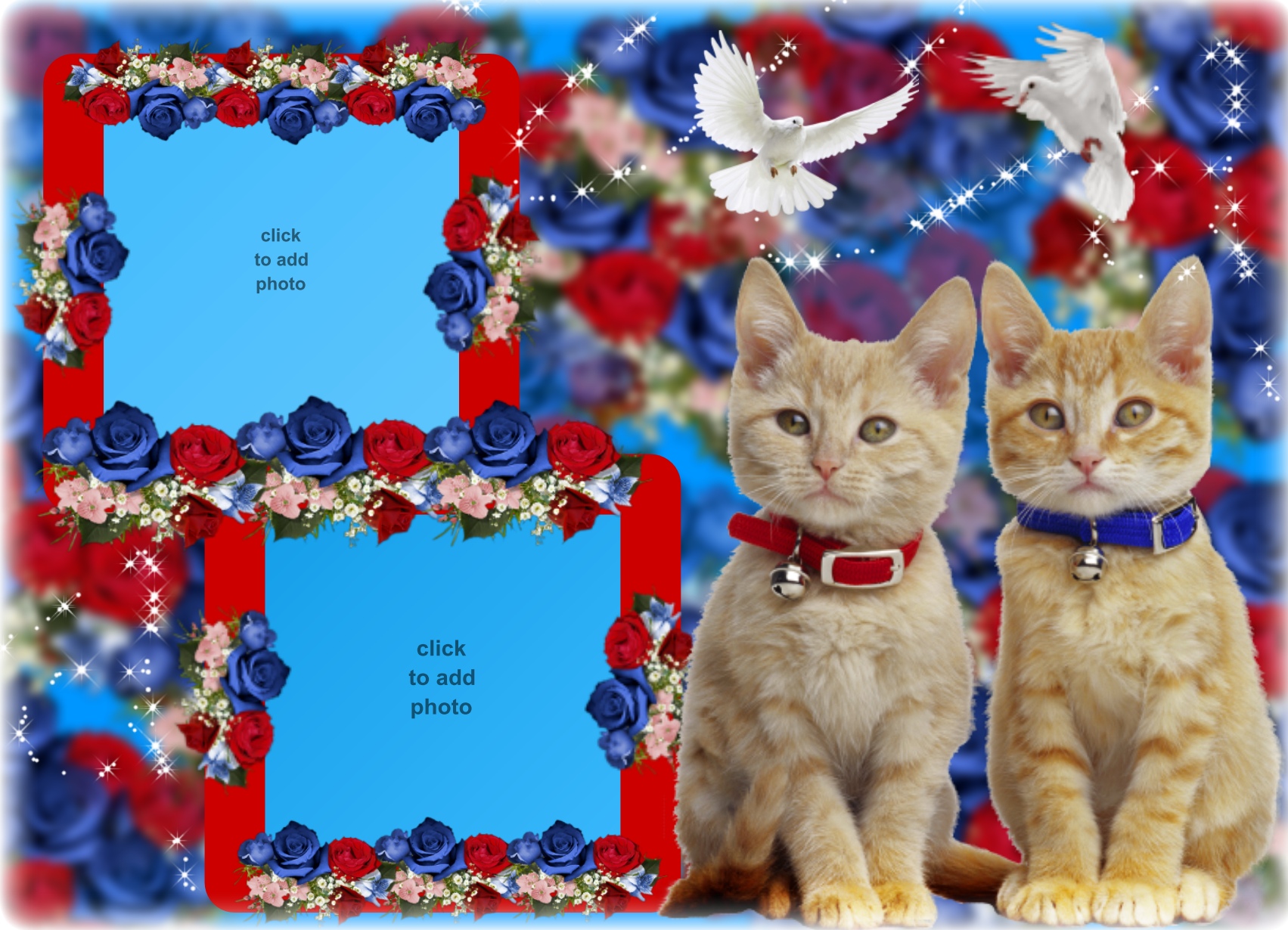 Sinnlich's Cat Frames - 2013 - 2016 - Cute Cats , USA Sinnlich Roses ...
