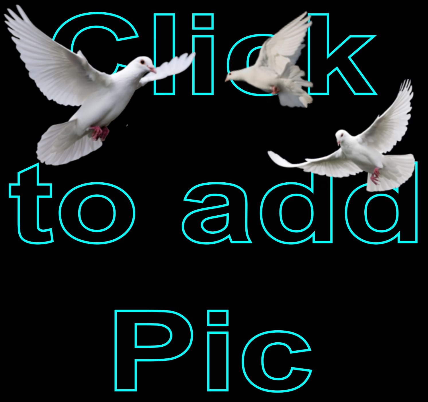 Jason Worthington's Wildlife Frames - 2011 May - 2011 June - Dove Love ...