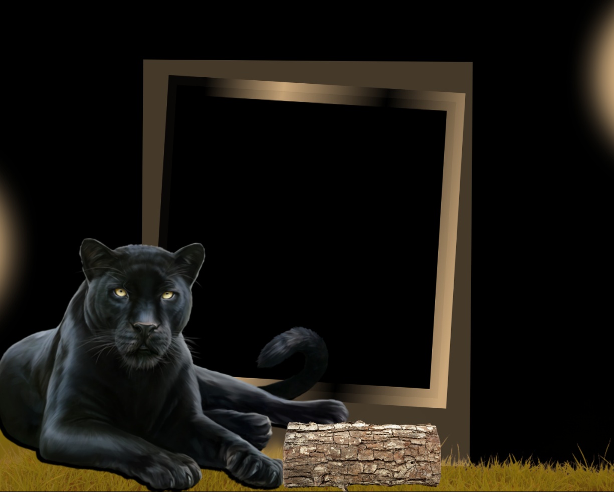 It'sMichelle's Wildlife Frames - Black Panther - Black Panther