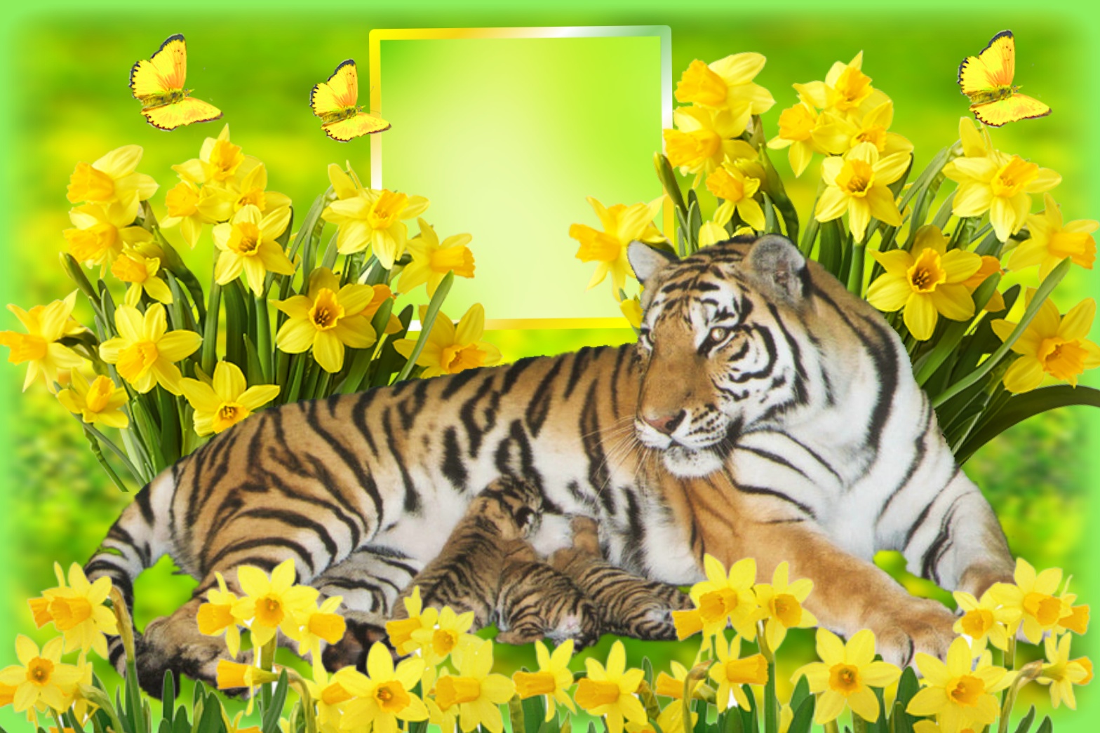 Sinnlich's Wildlife Frames - 2021 - 2021 - Mom Babies Sinnlich Wildlife ...