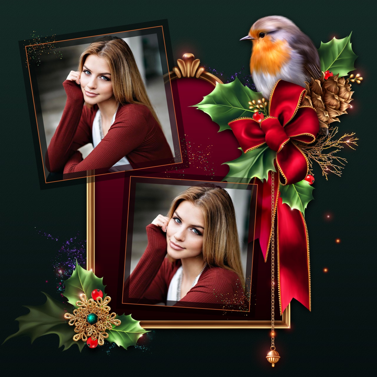 Elizabeth's WINTER ️ 2/2 - Winter Robin Winter Robin Elizabeth - Winter ...