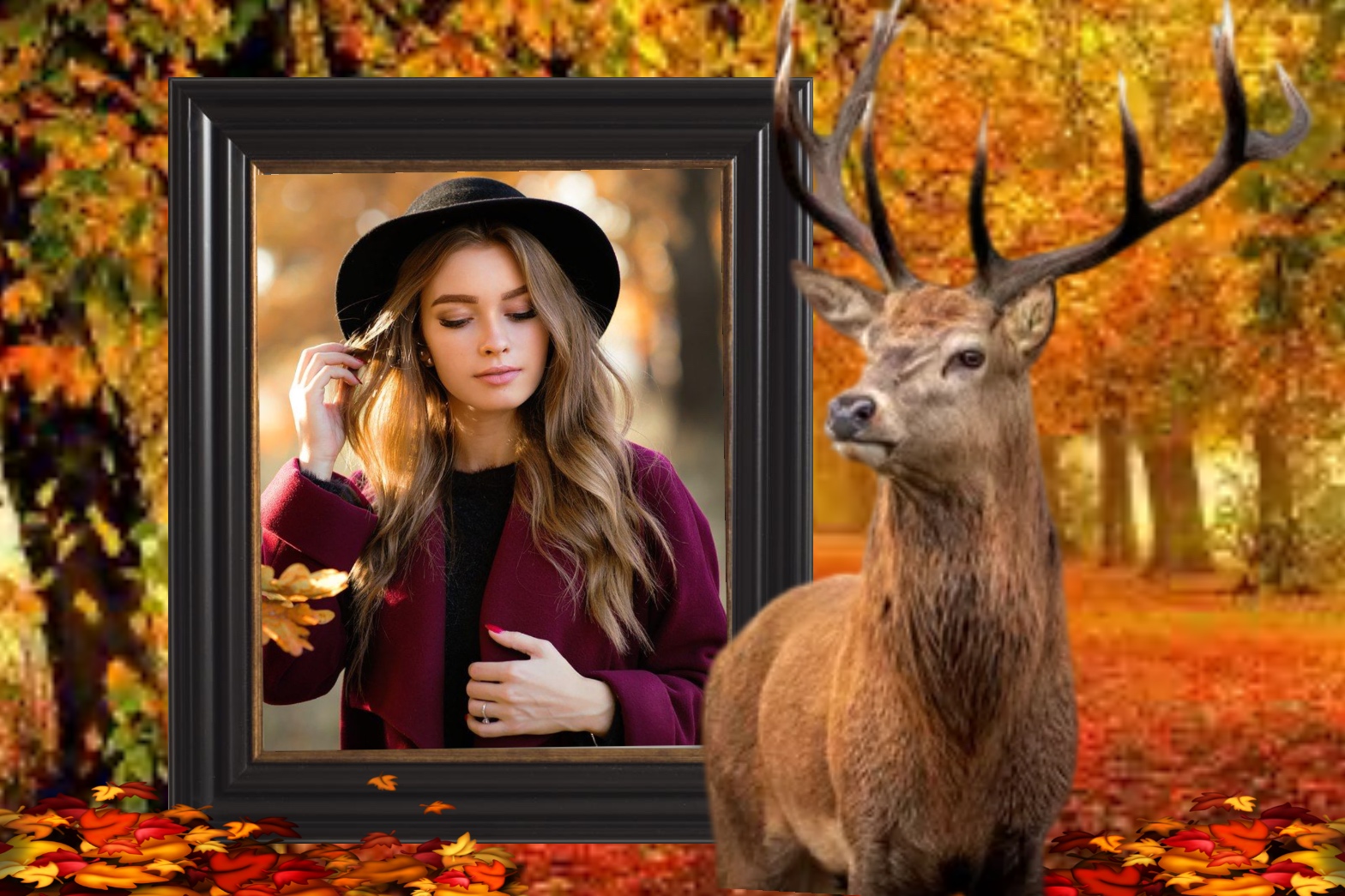 Nette's Autumn, Thanksgiving, Fall Frames - Autumn 2022🍁🍂 - Wildlife ...