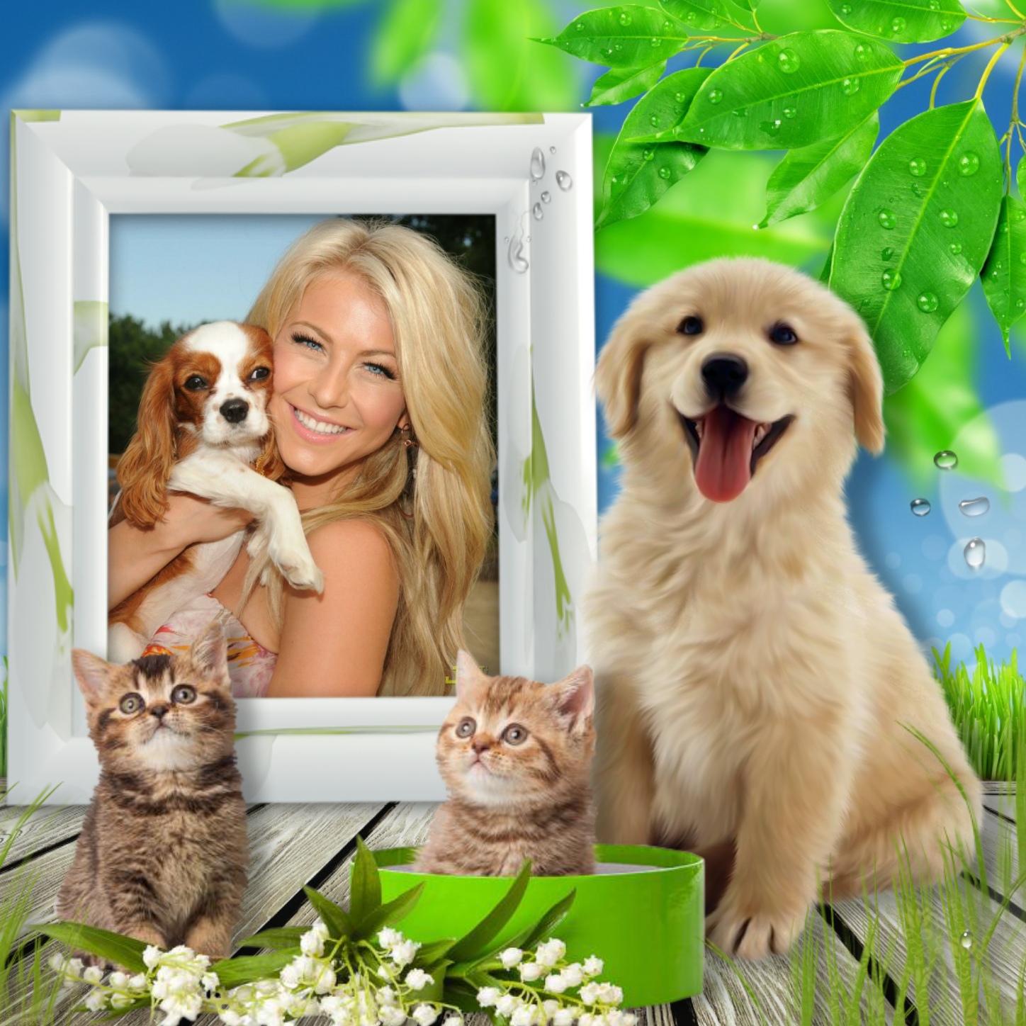 Elizabeth's CATS & DOGS 🐱 🐶 - Cats Dogs Kittens - Cats Dogs Kittens ...