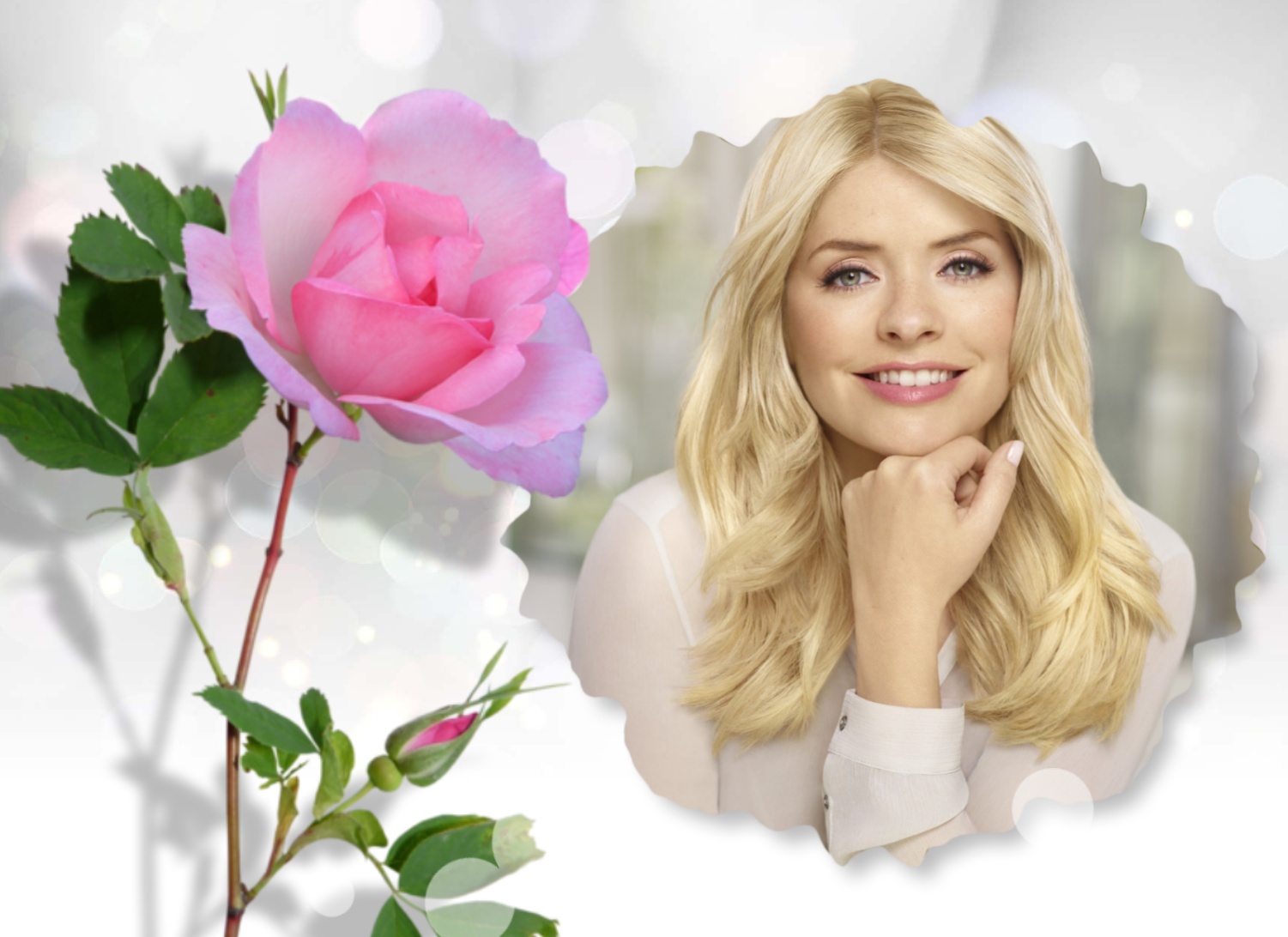 Elizabeth's GOOD MORNING/DAY/NIGHT ⭐️ 2/3 - Haveagreatday Pink Rose ...