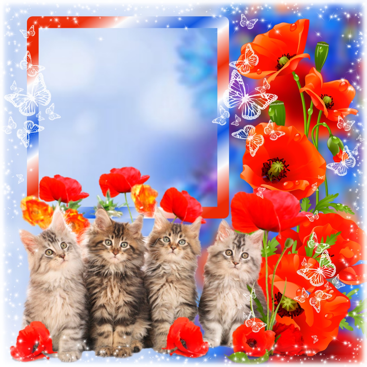 Sinnlich's Cat Frames - 2021 - 2022 - Red Poppys Sinnlich Cats Flowers ...