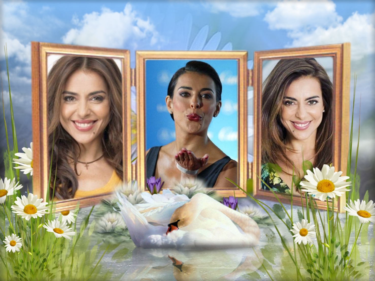 Adelaide's MULTIPLE PHOTOS - MÚLTIPLAS FOTOS - Adelaide - Adelaide ...