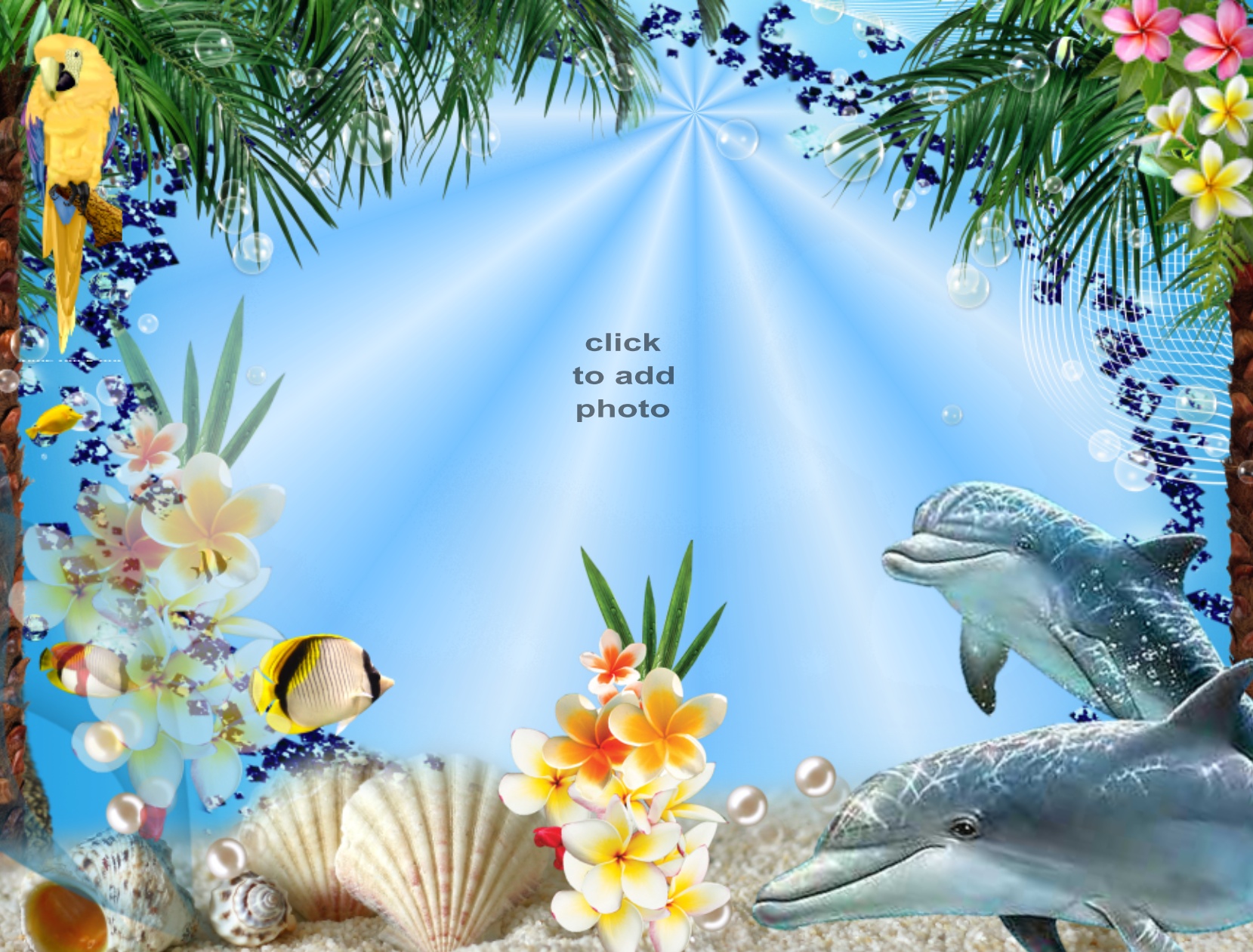 Sinnlich's Summer Frames - 2011 - Dolphin in Water Joy Summer Sinnlich ...