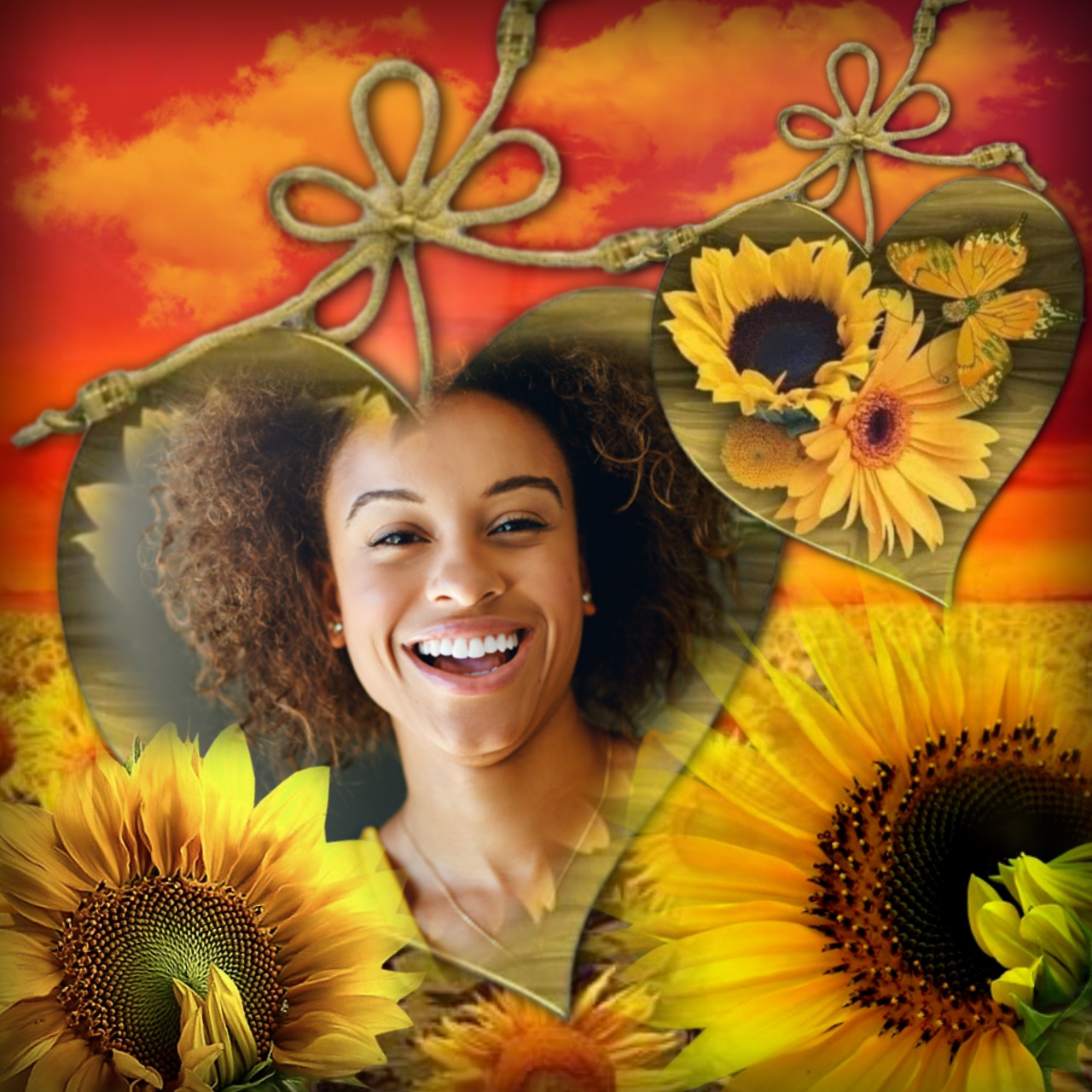 Adelaide's SUNFLOWERS - GIRASSOIS - GIRASOLES - Adelaide - Adelaide ...