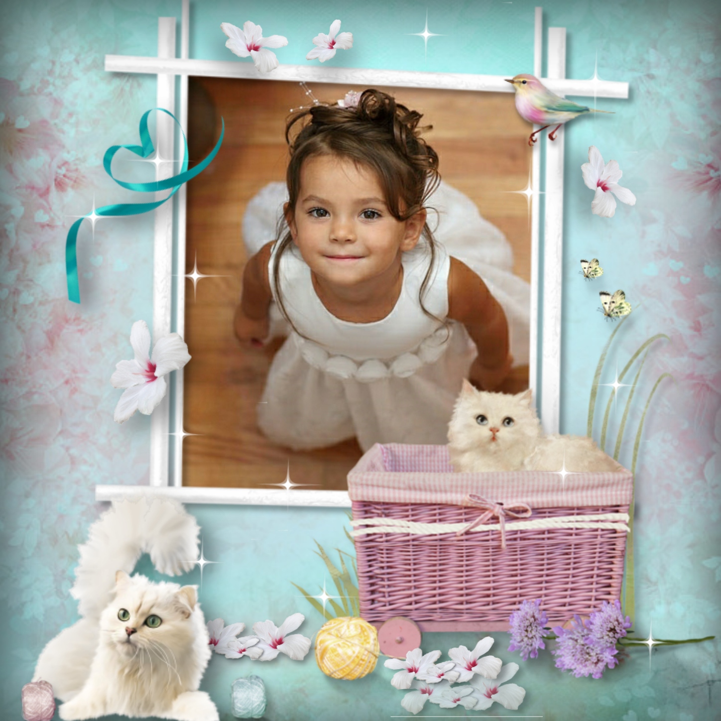 Elizabeth's CATS & DOGS 🐱 🐶 - Cats Pets Elizabeth - Cats Pets Elizabeth