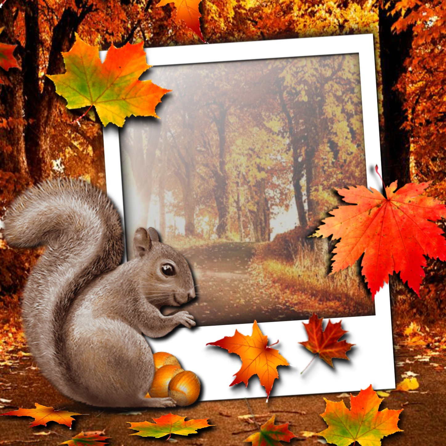 lissy's GoodMorning 🌞 GoodNight - 2017 September - 2017 October ...