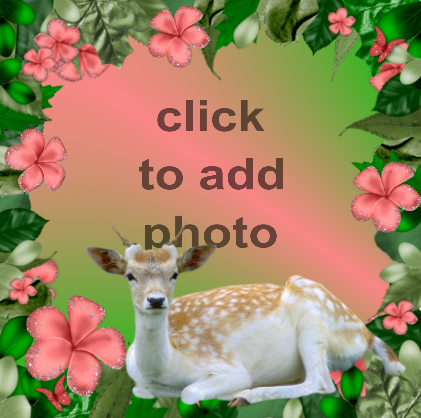 Sinnlich's Wildlife Frames - 2009 - 2011 - Cute Deer Sinnlich Me ...