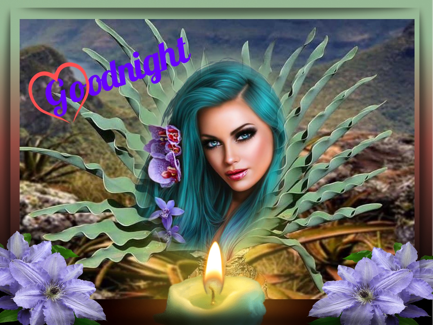 Wienie Coppen's Flowers,Goodnight,Sunset - candle flowers goodnight ...