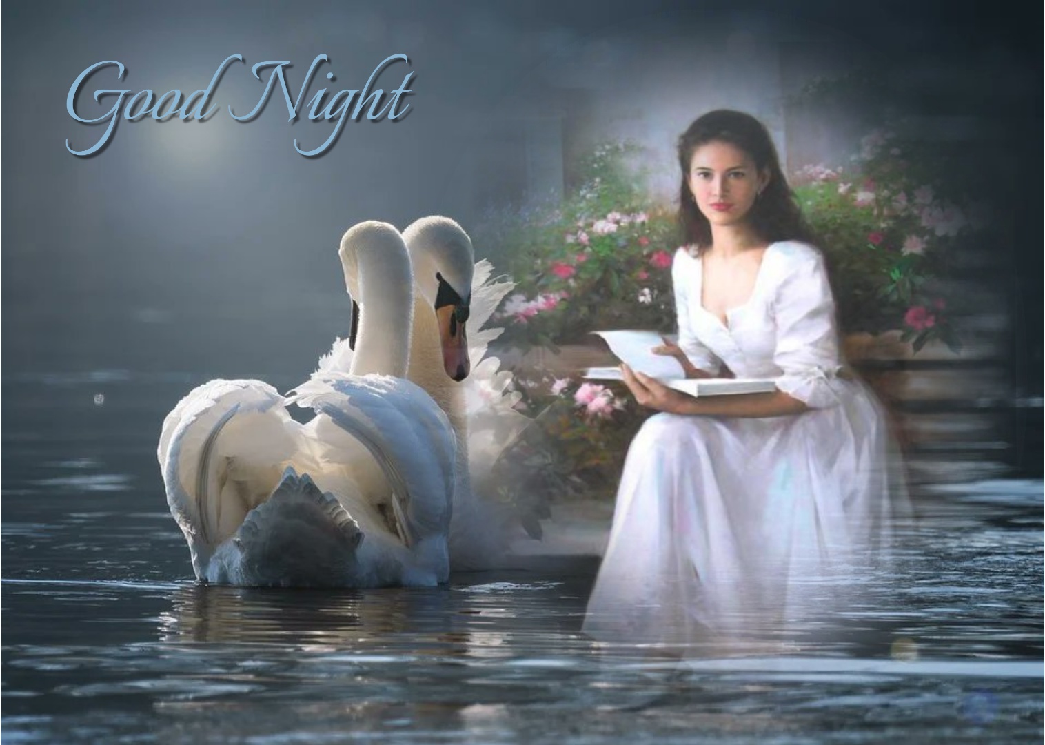 Emily50's Good Morning and Good Evening - Good Night Good Evening ...