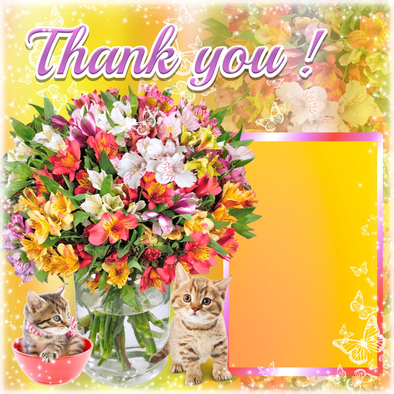 Sinnlich's Thank You Frames - 2022 - Flower Sinnlich Thank You Cats ...