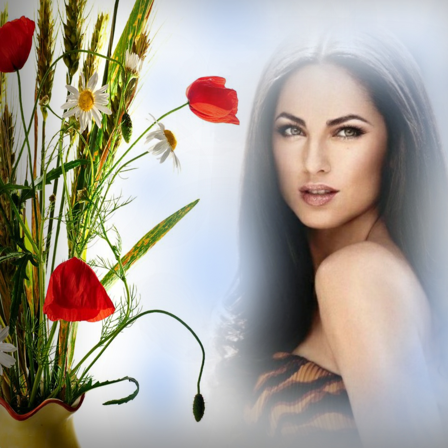 Elizabeth's NATURE & LANDSCAPE 🌈 🌦 - Nature Poppy Elizabeth - Nature ...