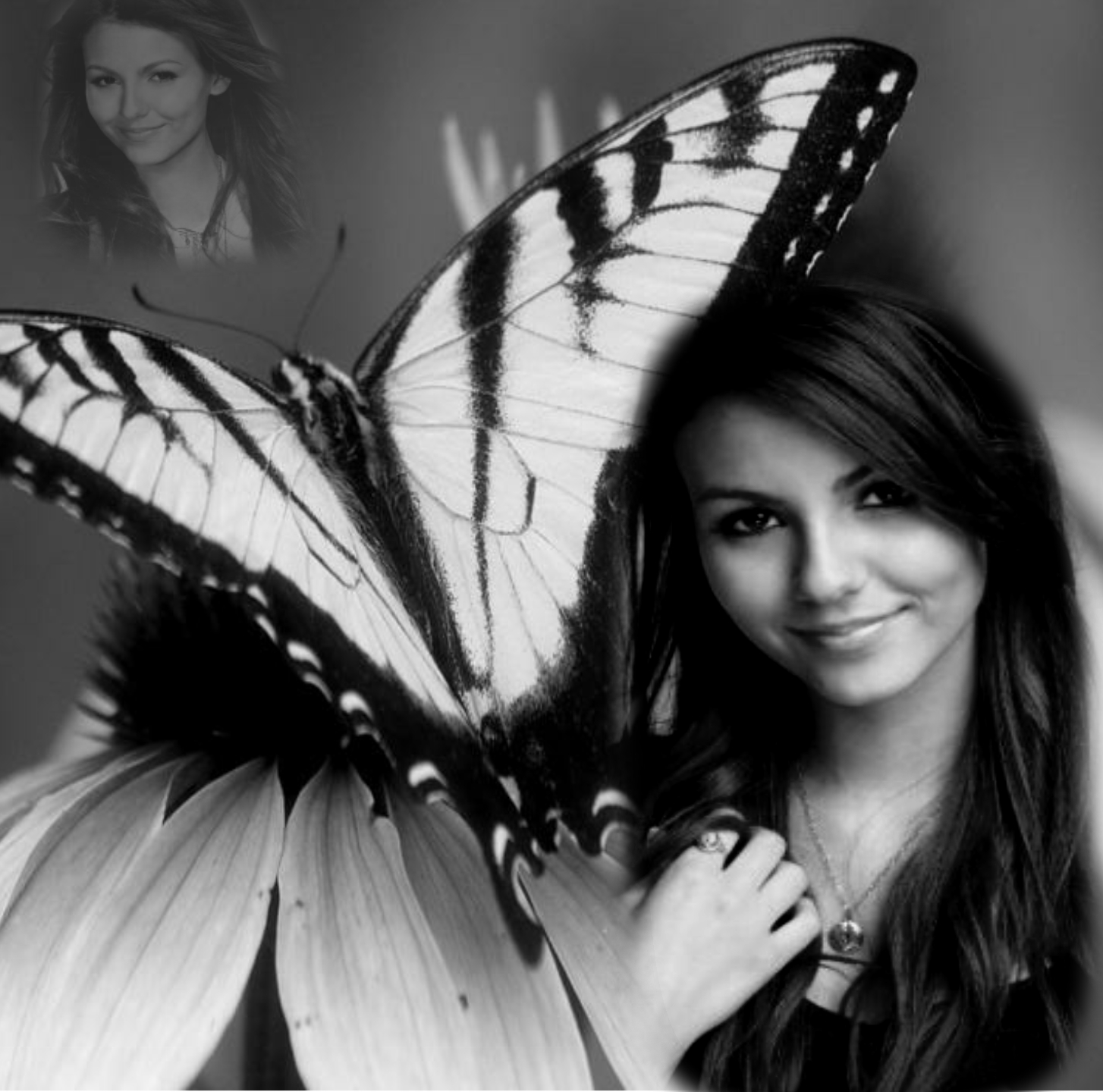 marialedesma1958's Wildlife Frames - 2014 - 2015 - Black And White ...