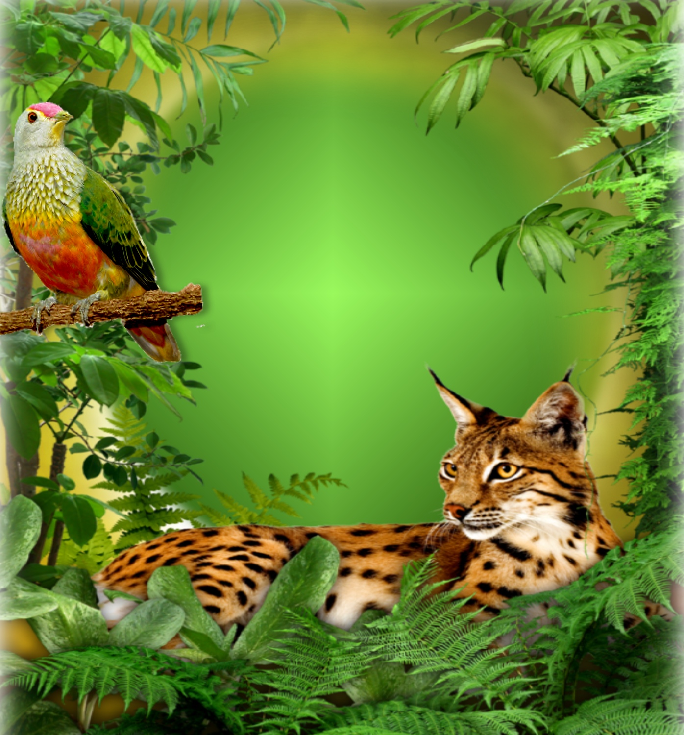 It'sMichelle's Wildlife Frames - 2015 October - 2016 May - Nature frame ...
