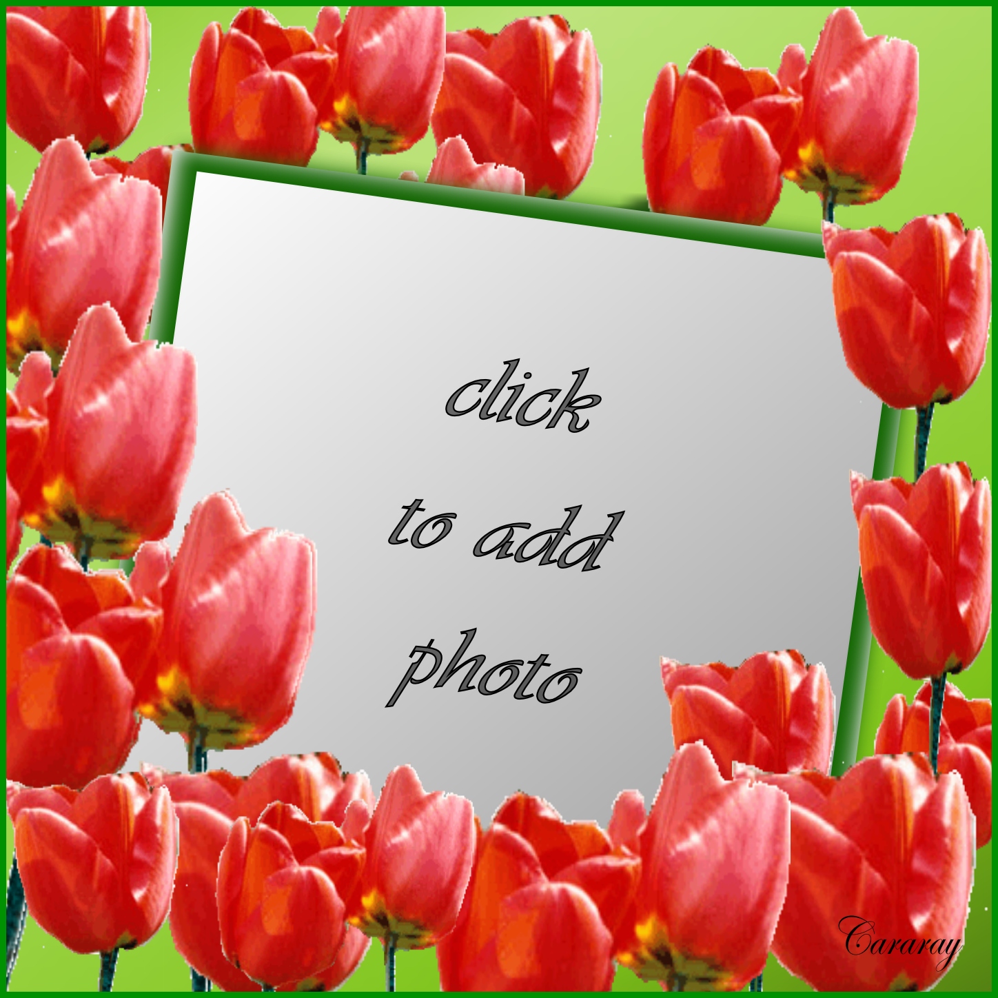 cararay's Picture Frames - 2009 July - Lovely Tulip Frame Thank you for ...