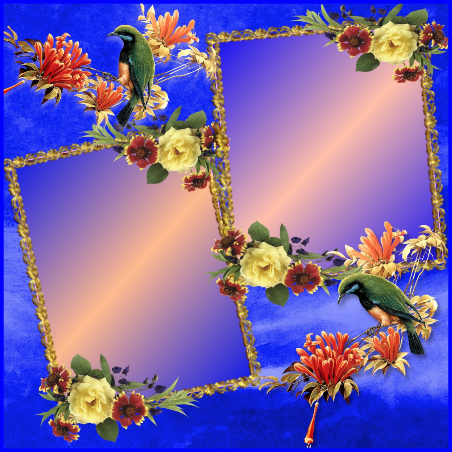 norafg62's Picture Frames - 2014 July - ,Birds,Flower Frames Norafg62 ...