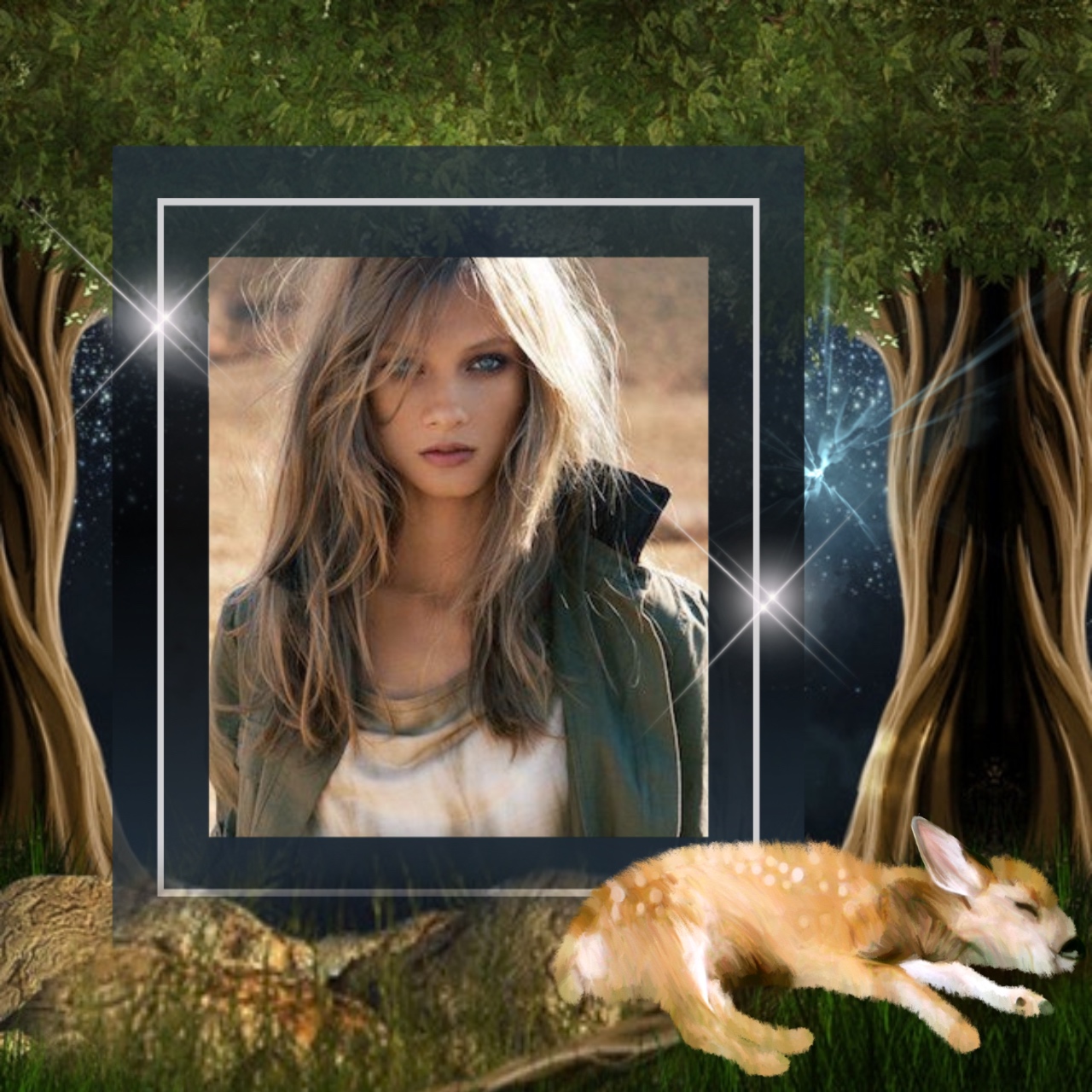 Nette's Wildlife,Animals, pets Frames - sleeping Deer Nature Frame ...