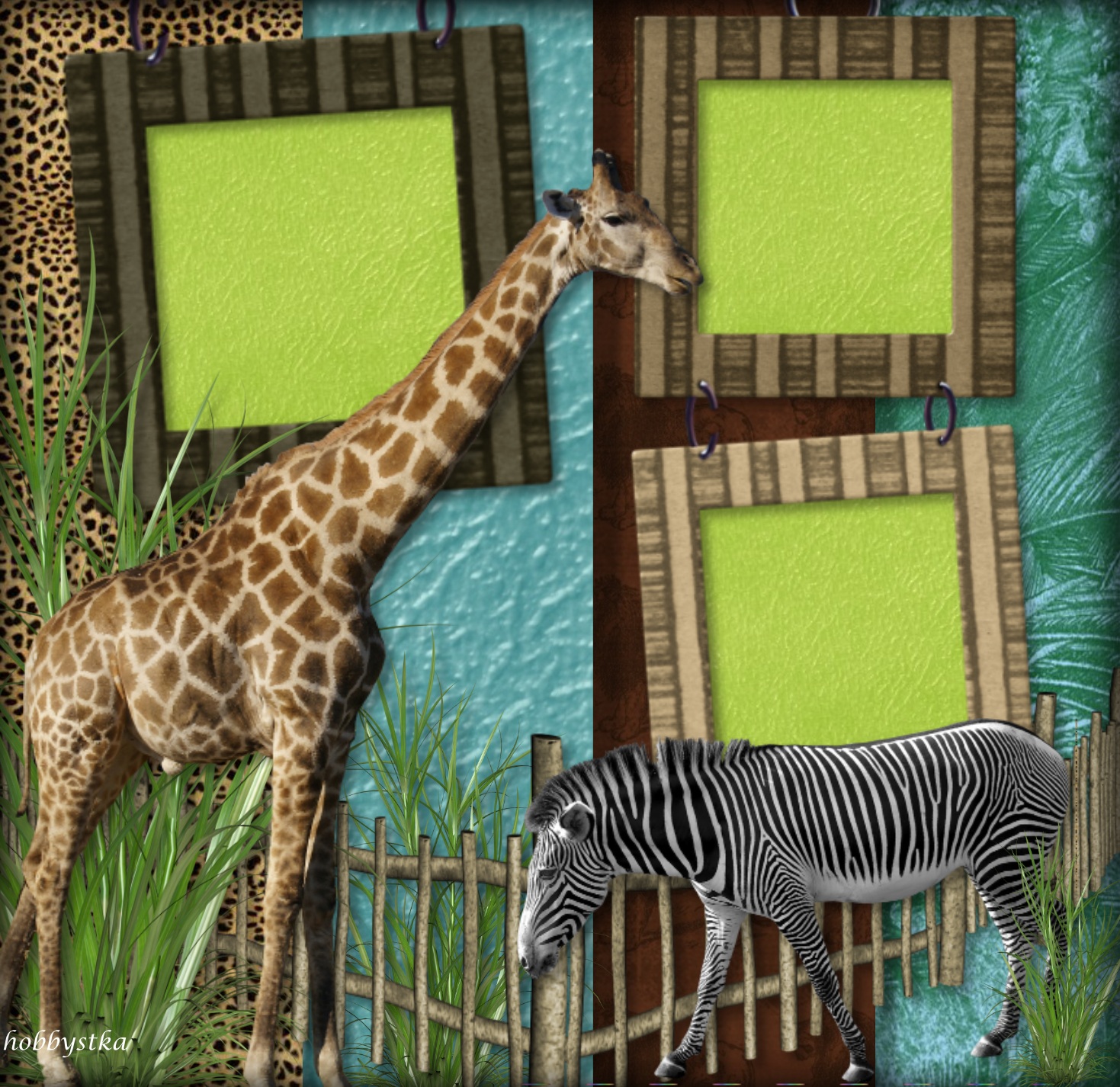 hobbystka's Picture Frames - 2010 November - 2010 November - zoo ...