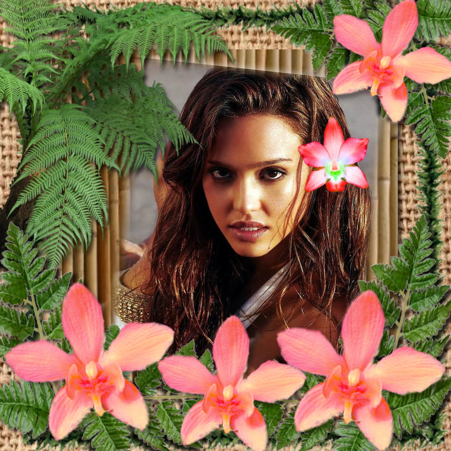 lyndip's Scrapbook Frames - 2009 April - Tropical frame Lyndip ...