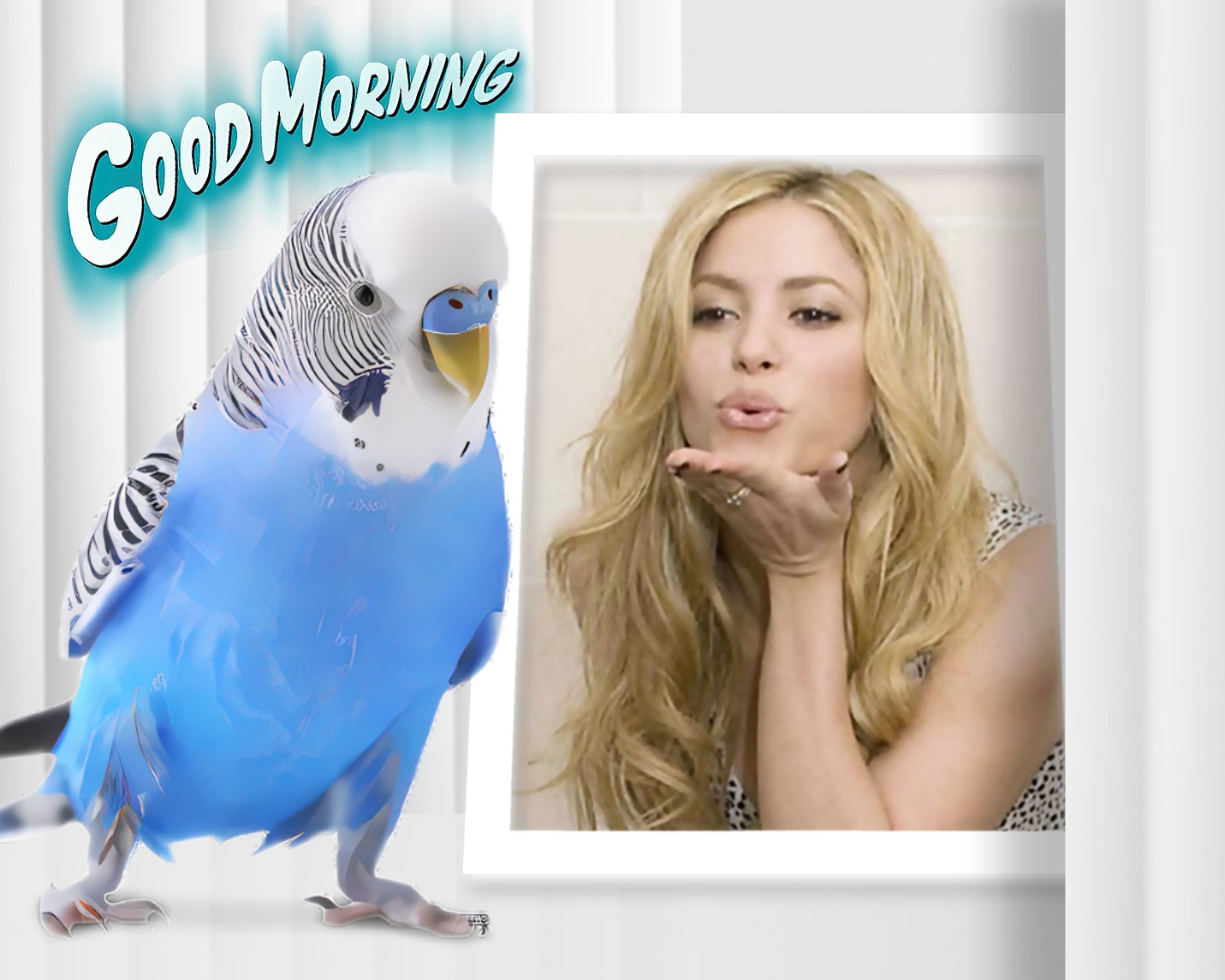 Elizabeth's ANIMALS & WILDLIFE 🙈 - Birds Budgie Good Morning Elizabeth ...