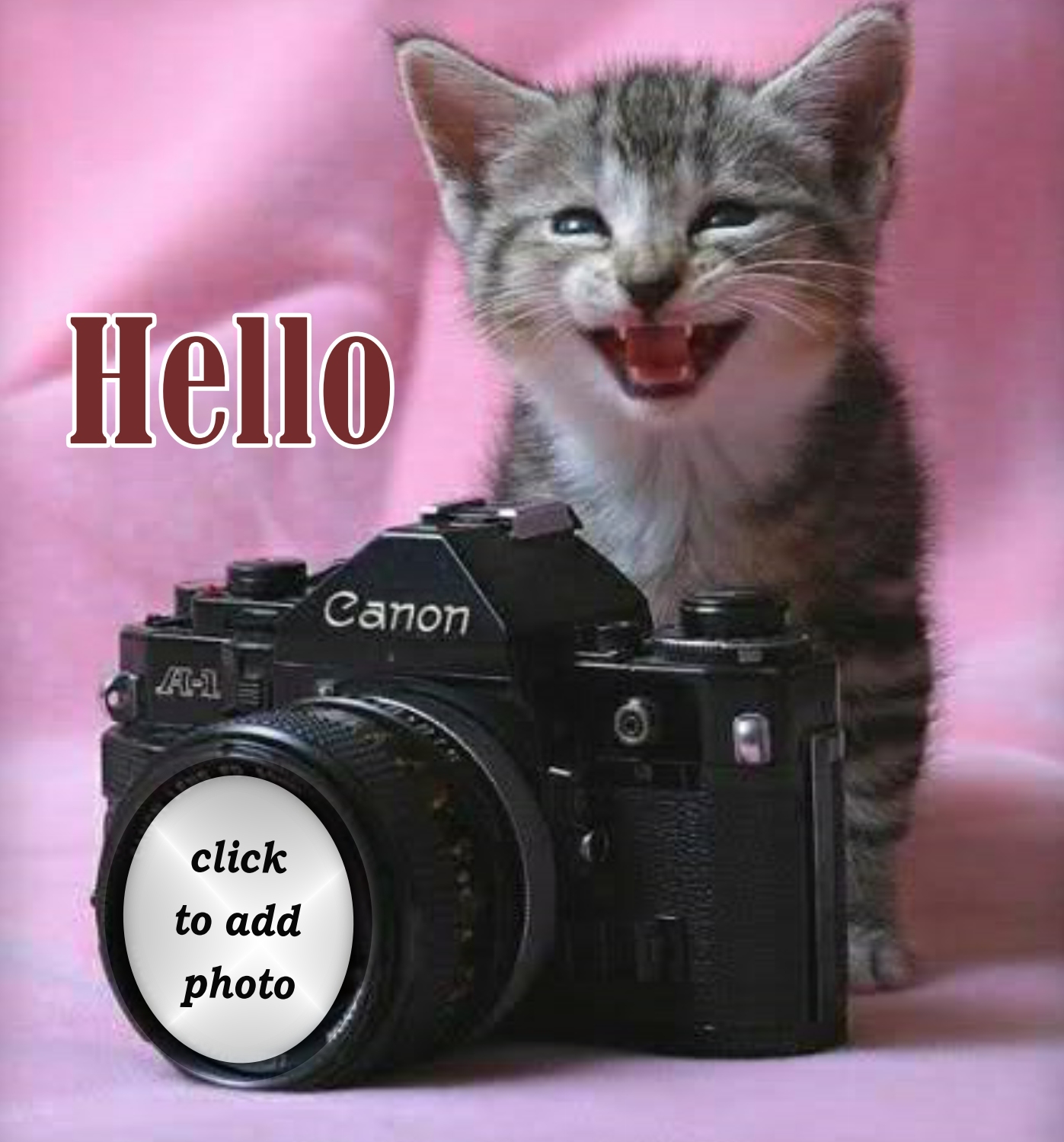 Emily50's Greeting Frames - picture FramegreetingsHello - picture ...