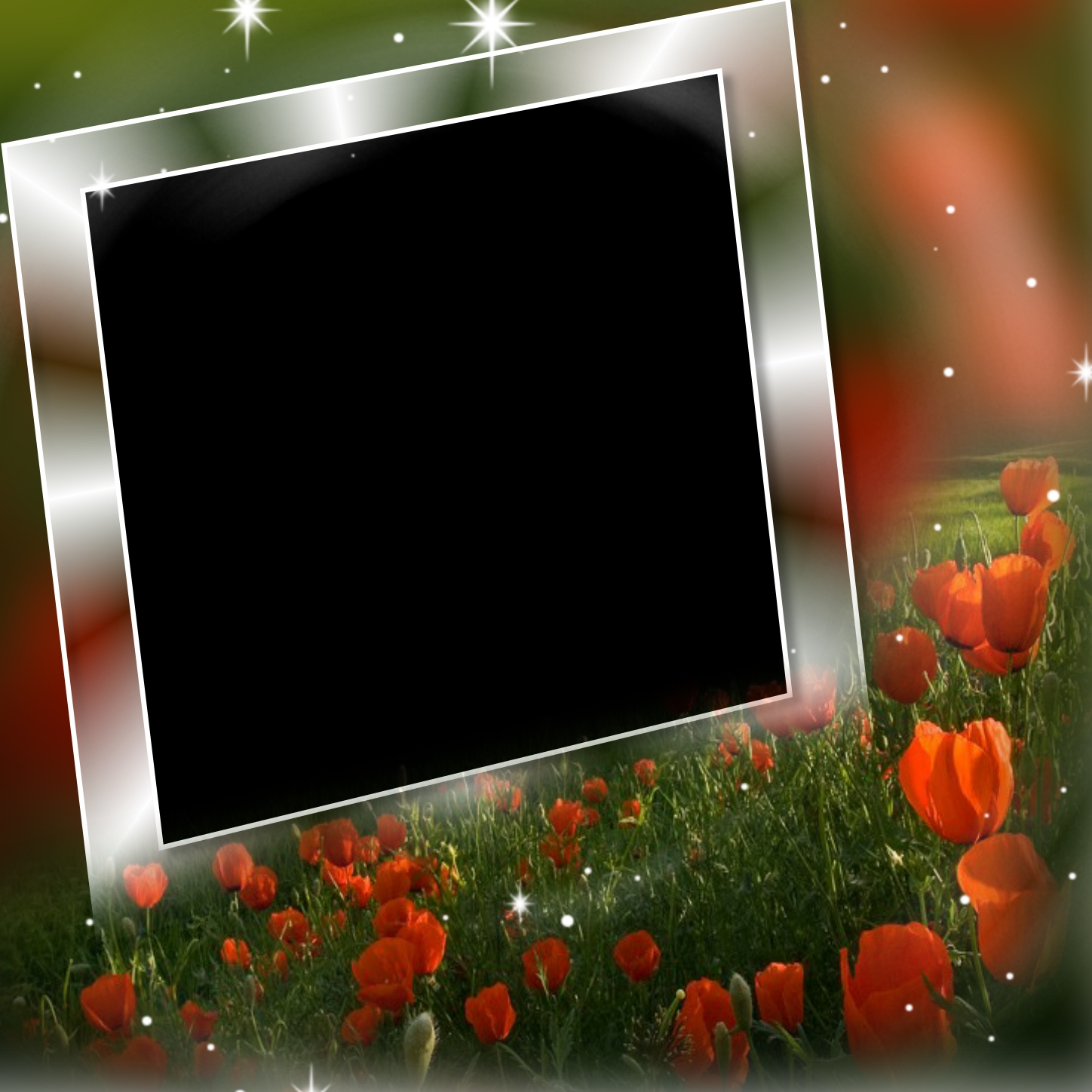 prashnarai's Picture Frames - 2012 January - picture frame-prashna ...