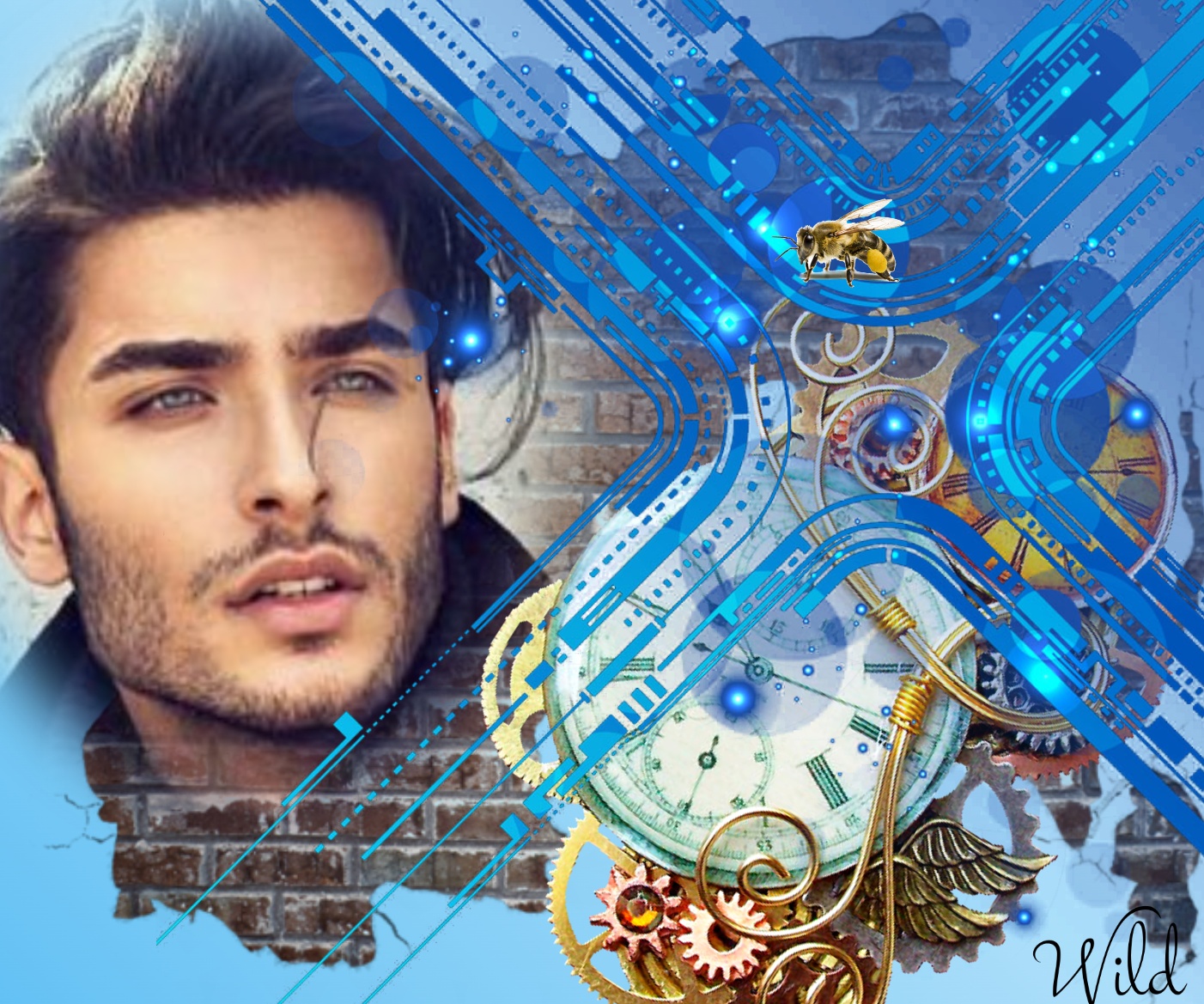 wildthing_9111's Stream 2 - Stream4 - Wild Frame Steampunk Electronic ...