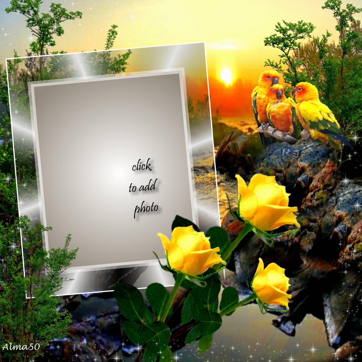 alma50's Picture Frames - 2011 November - 2012 January - Beautiful ...