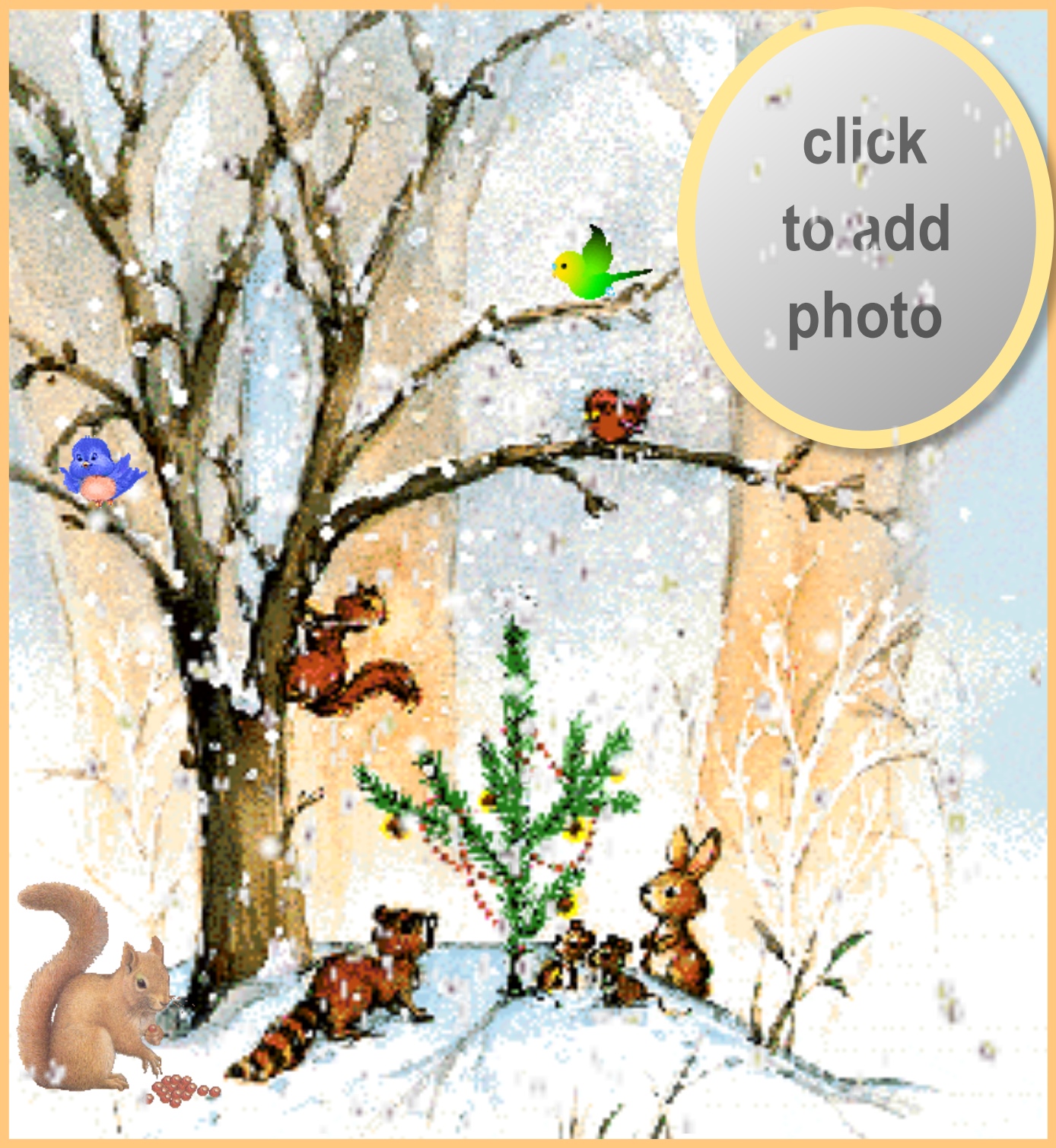 moldybiskit's Picture Frames - 2008 December - cute birds&animals w ...