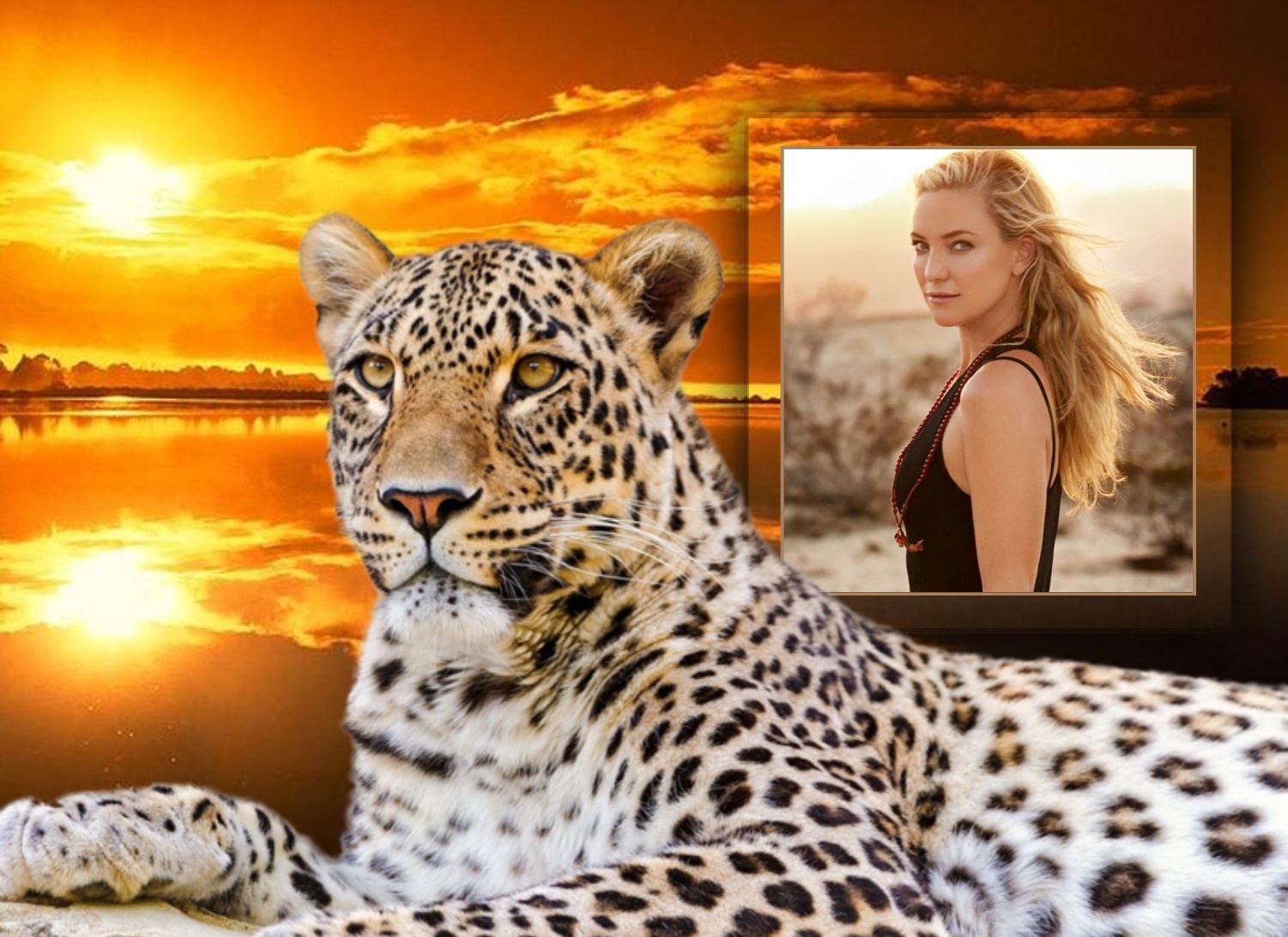 Elizabeth's ANIMALS & WILDLIFE 🙈 - Leopard Africa Elizabeth - Leopard ...