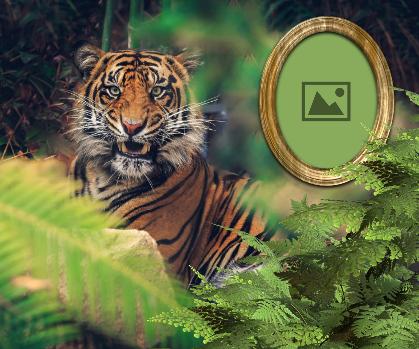 pussycatlady22's Wildlife Frames - Wildlife Frames Wildlife Tiger ...