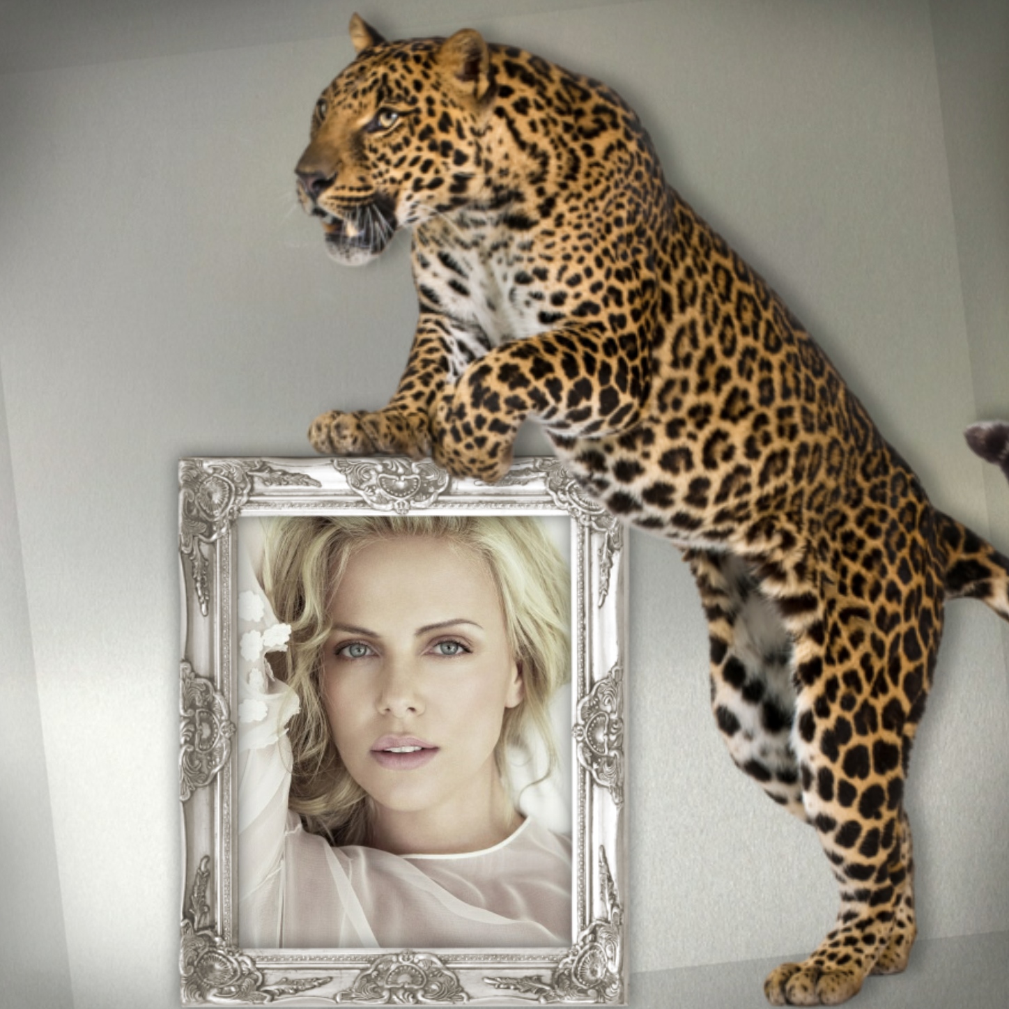 Jezebel64's Wildlife ~ Wilderness🦁 - Trespassing Jezebel64 Wildlife ...