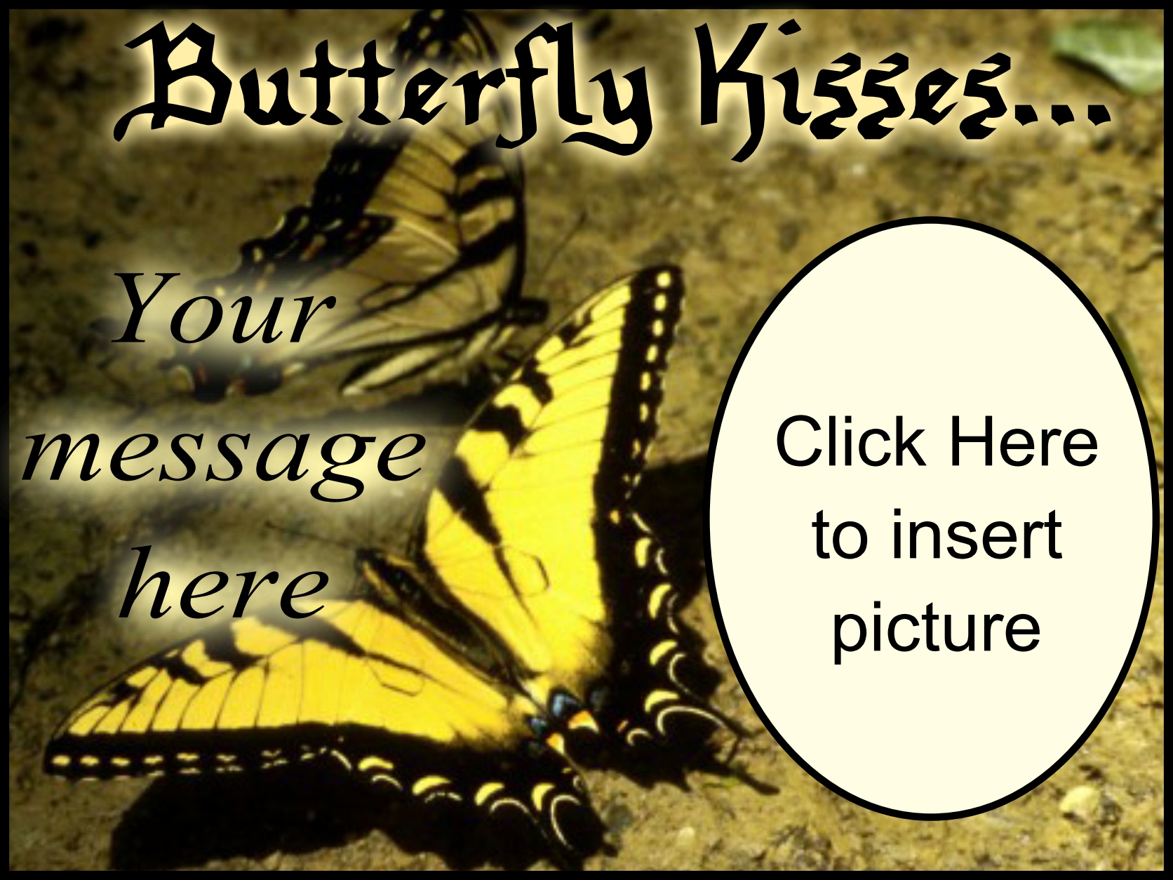 ZingerBug's Picture Frames - 2007 May - 2007 July - Butterfly Kisses ...