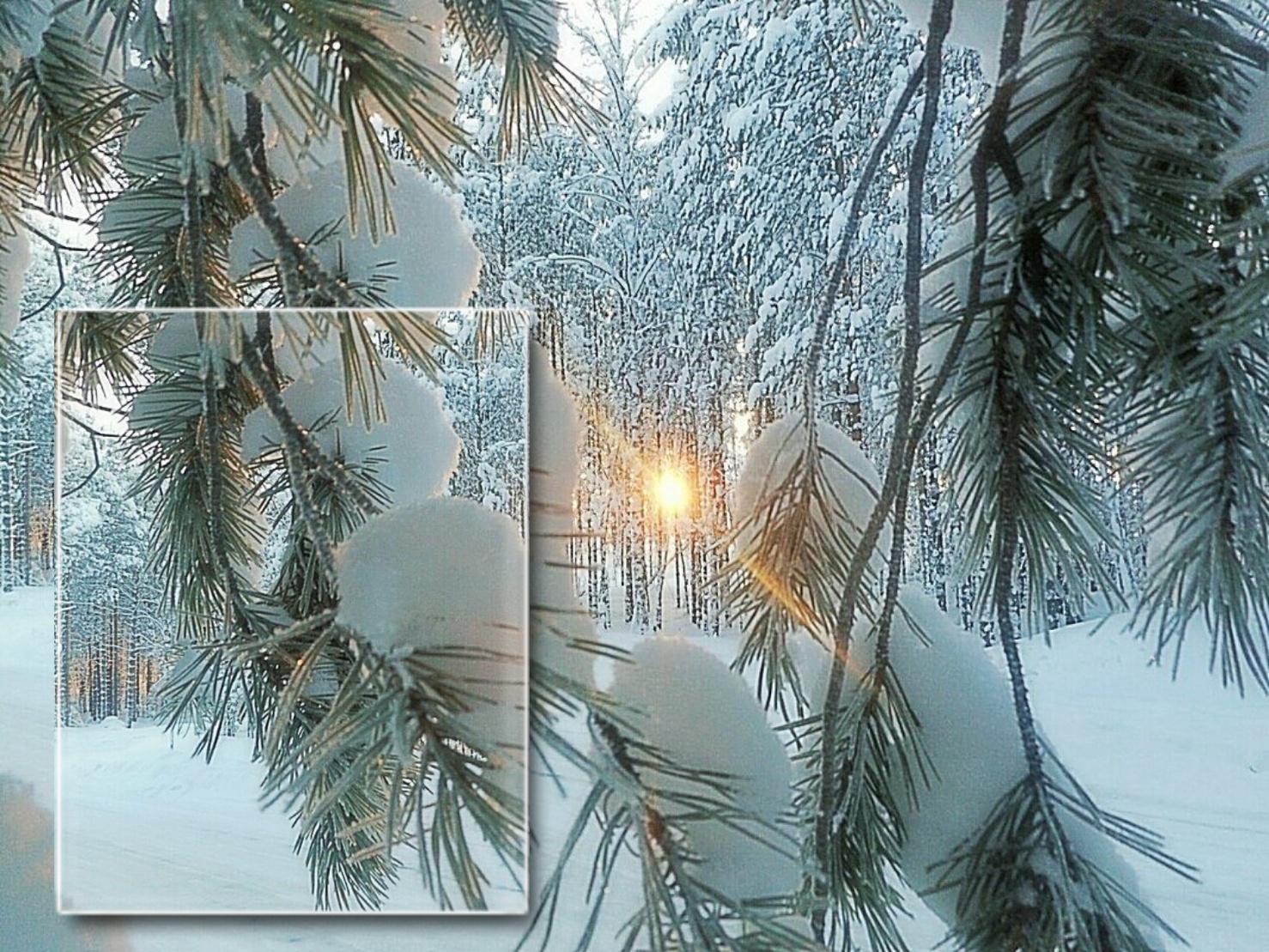 Emily50's Winter Frames - winter snow Emily50 - winter snow Emily50 ...