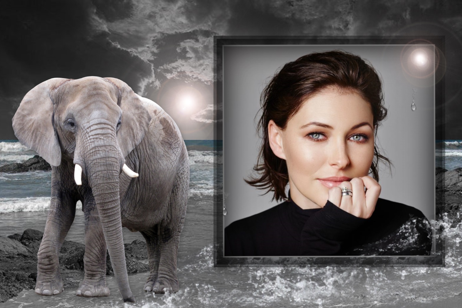 Elizabeth's ANIMALS & WILDLIFE 🙈 - Elephant Wildlife Elizabeth ...