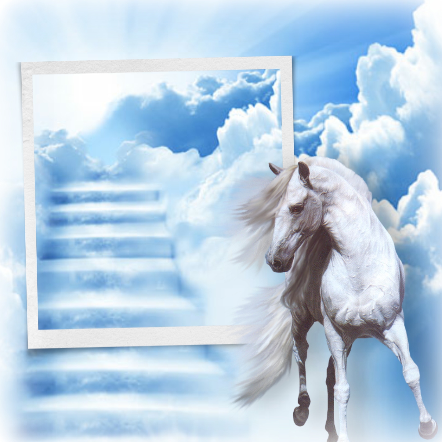 Elizabeth's IN MEMORY 🌤 - In Memory Loss Never Forgotten - In Memory ...