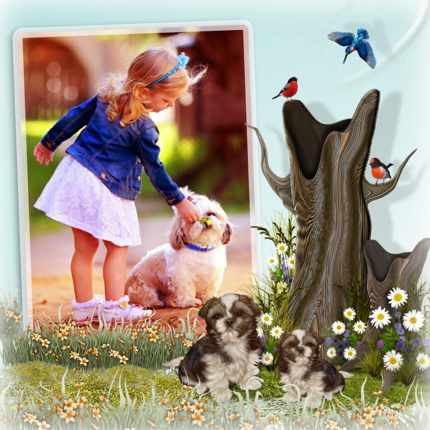 Elizabeth's CATS & DOGS 🐱 🐶 - Dogs Pets Elizabeth - Dogs Pets Elizabeth