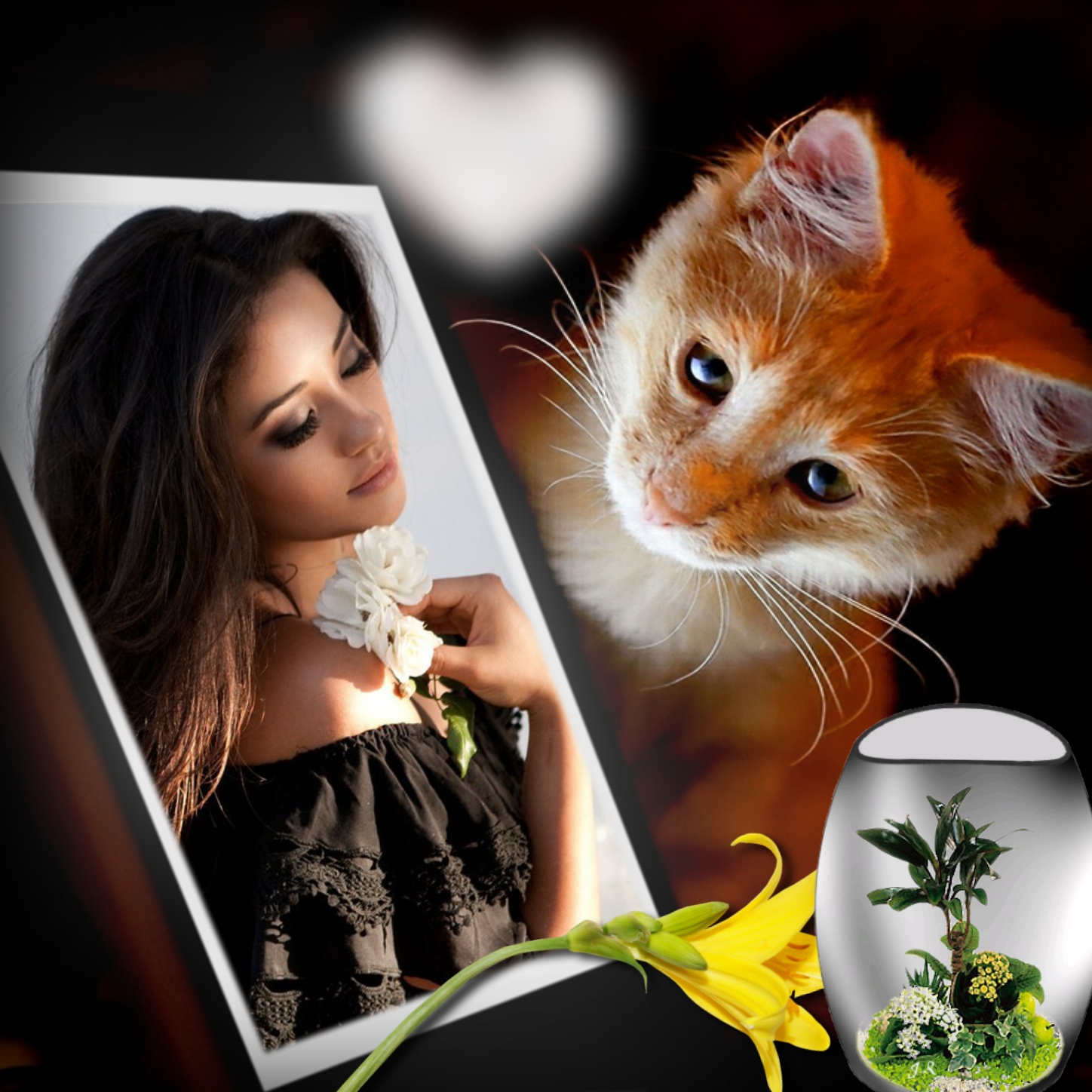 Elizabeth's CATS & DOGS 🐱 🐶 - 2012 - 2014 - Cats Pets Elizabeth