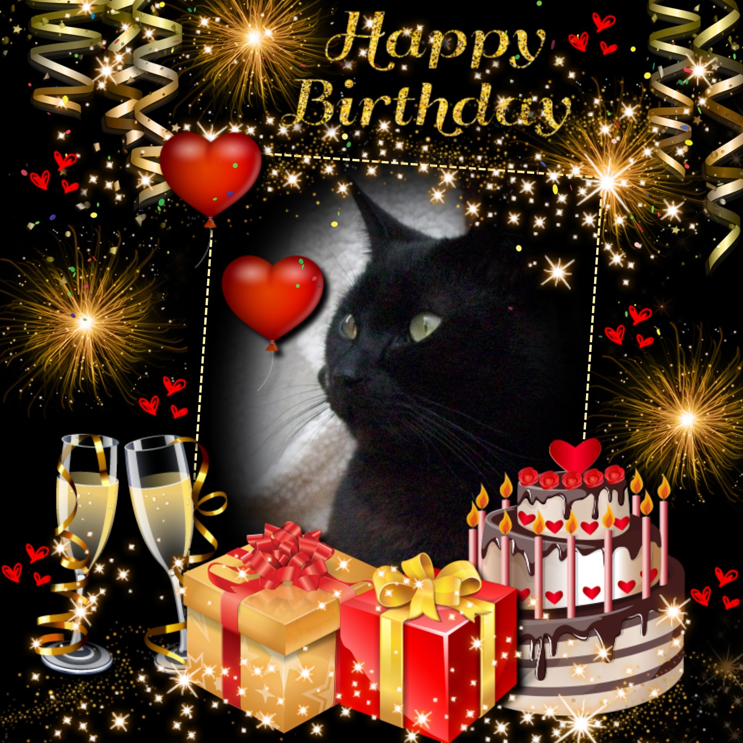 Queenie's Birthday Frames - 2016 June - 2017 January - Happy Birthday ...