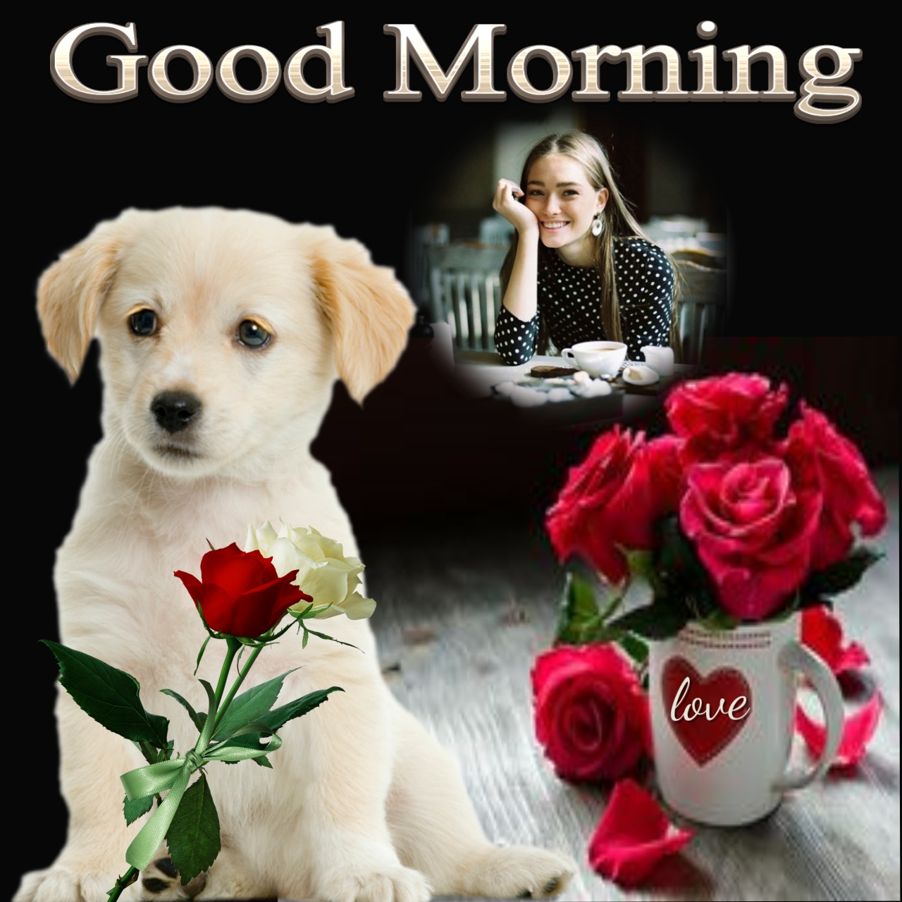 Mmhartley2's Everything Stream - Good Morning Coffee Roses Dog - Good ...