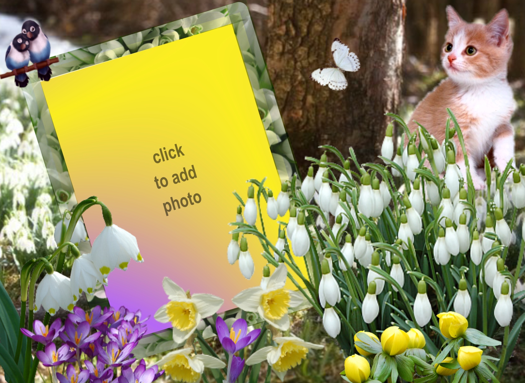 Sinnlich's Spring Frames - 2011 - Cat in May Sinnlich Cats Spring ...