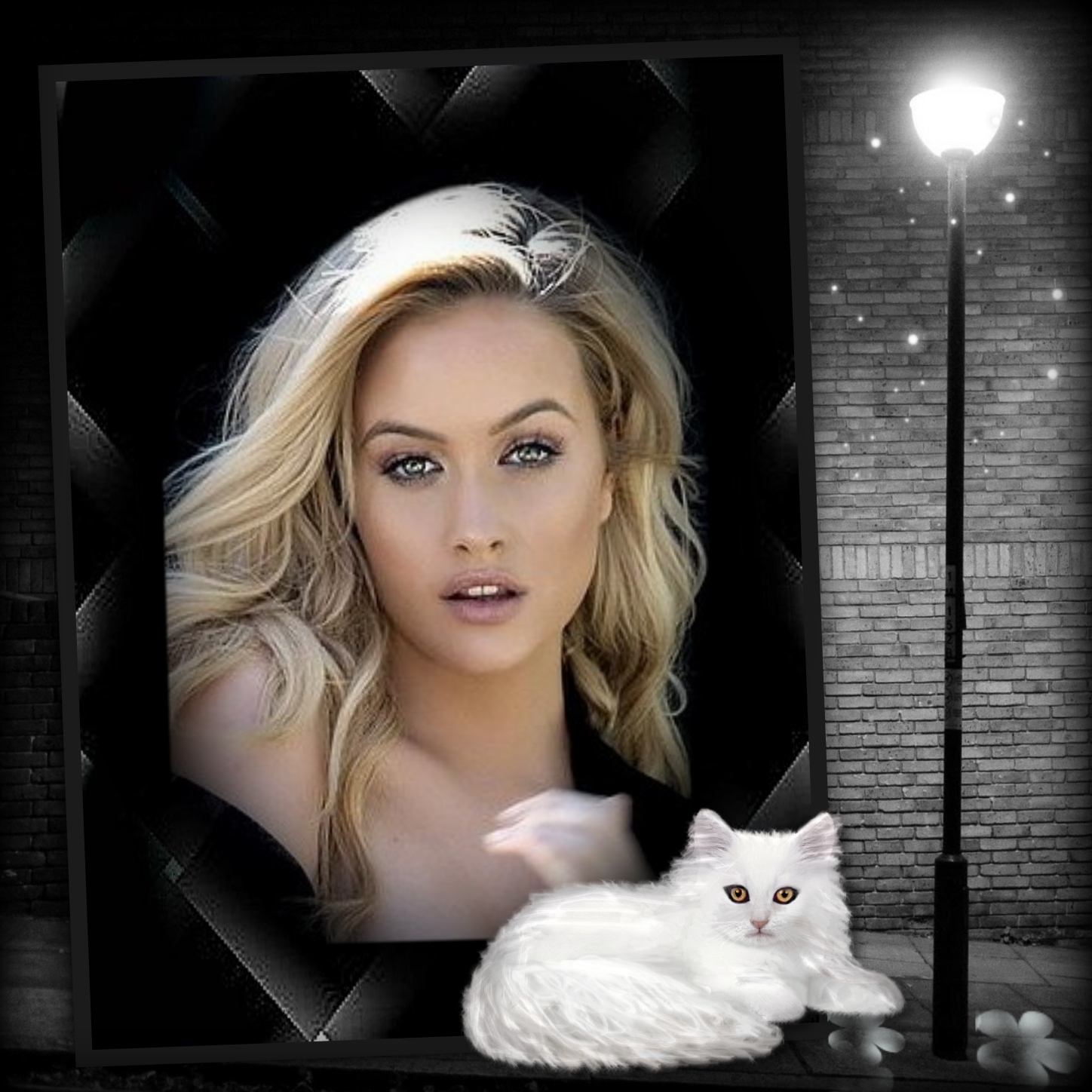 Elizabeth's CATS & DOGS 🐱 🐶 - Cats Good Evening Elizabeth - Cats Good ...