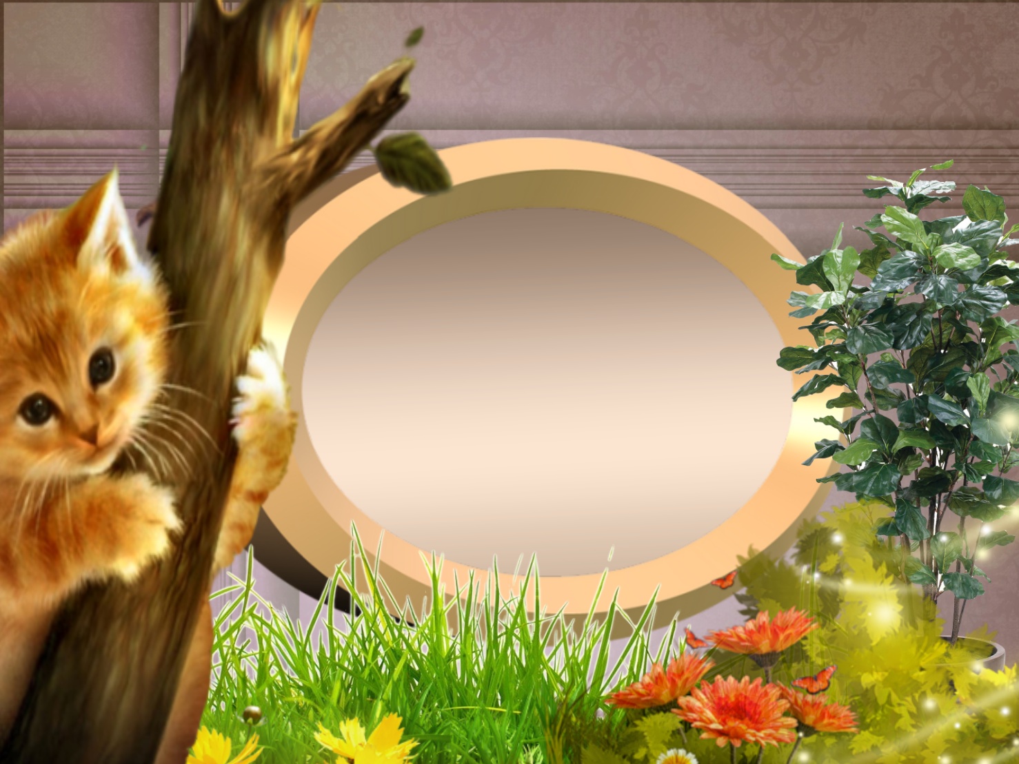 Emily50's Nature - Nature Emily50 LeavesCatFlowersHave A Nice DayGood ...